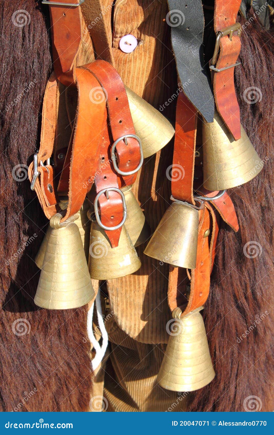 Cowbells stock image. Image of noise, cattle, golden - 20047071