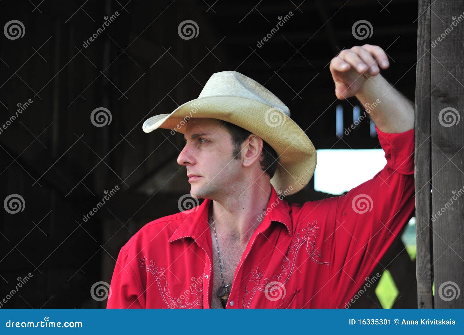 Cowboy stock image. Image of band, expression, clouds - 16335301