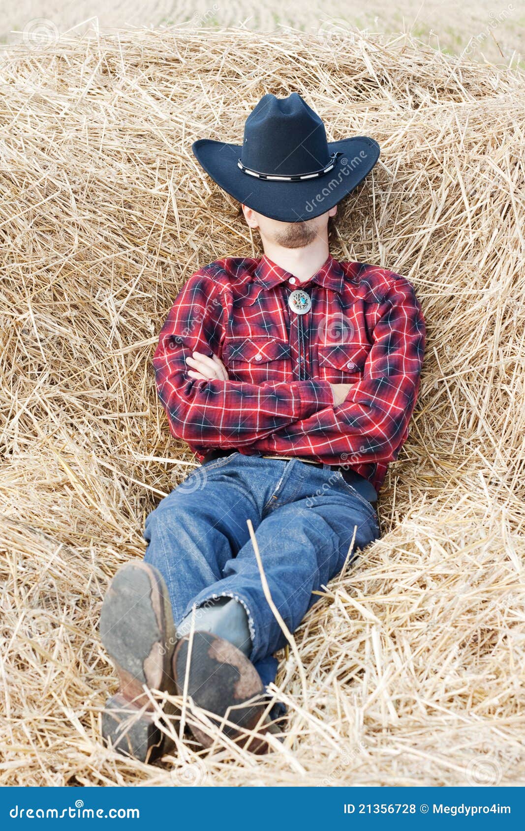 Cowboy stock photo. Image of peasant, farmers, male, cowboy - 21356728
