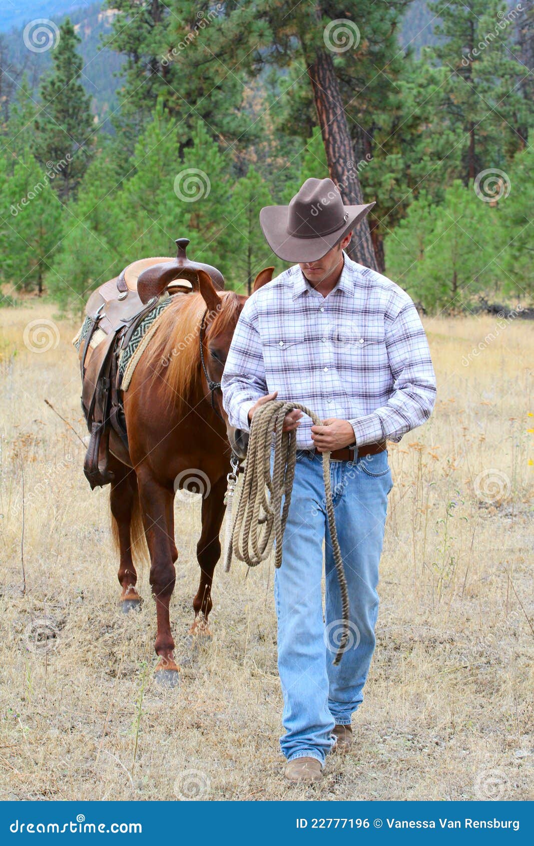 Cowboy stock photo. Image of outdoors, jeans, beautiful - 22777196