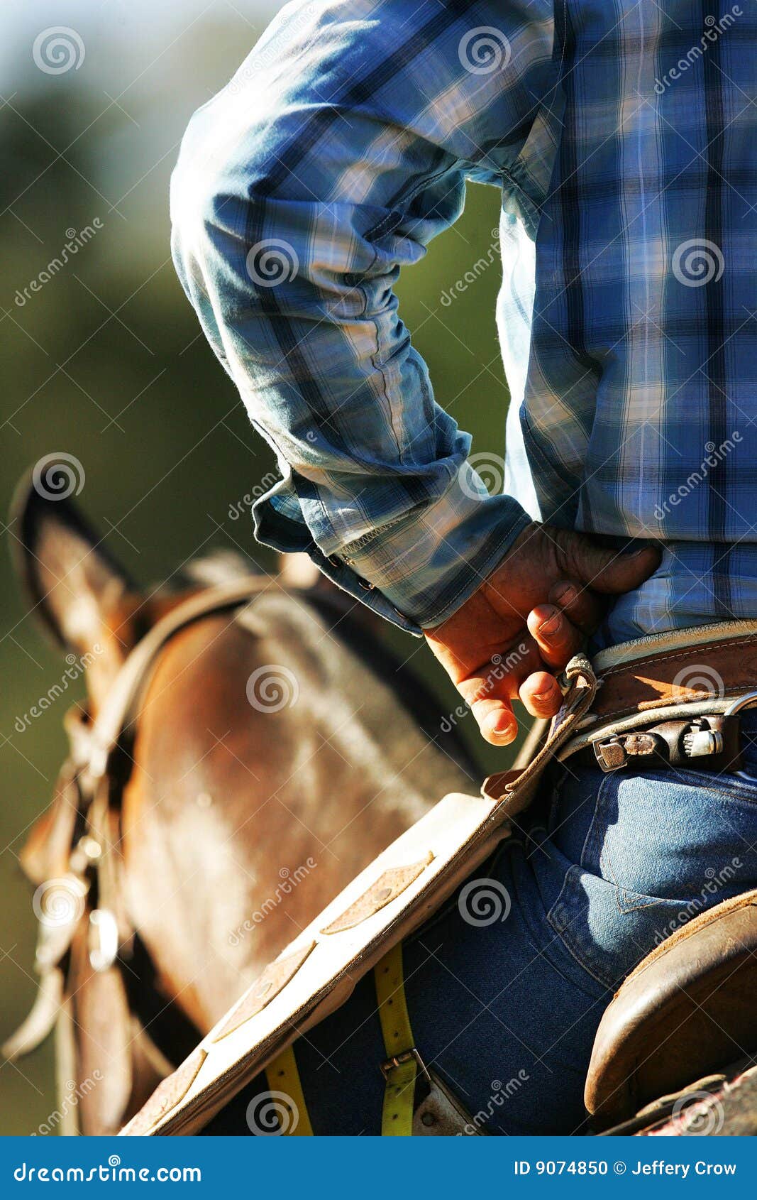 Cowboy stock photo. Image of male, adventure, active, western - 9074850