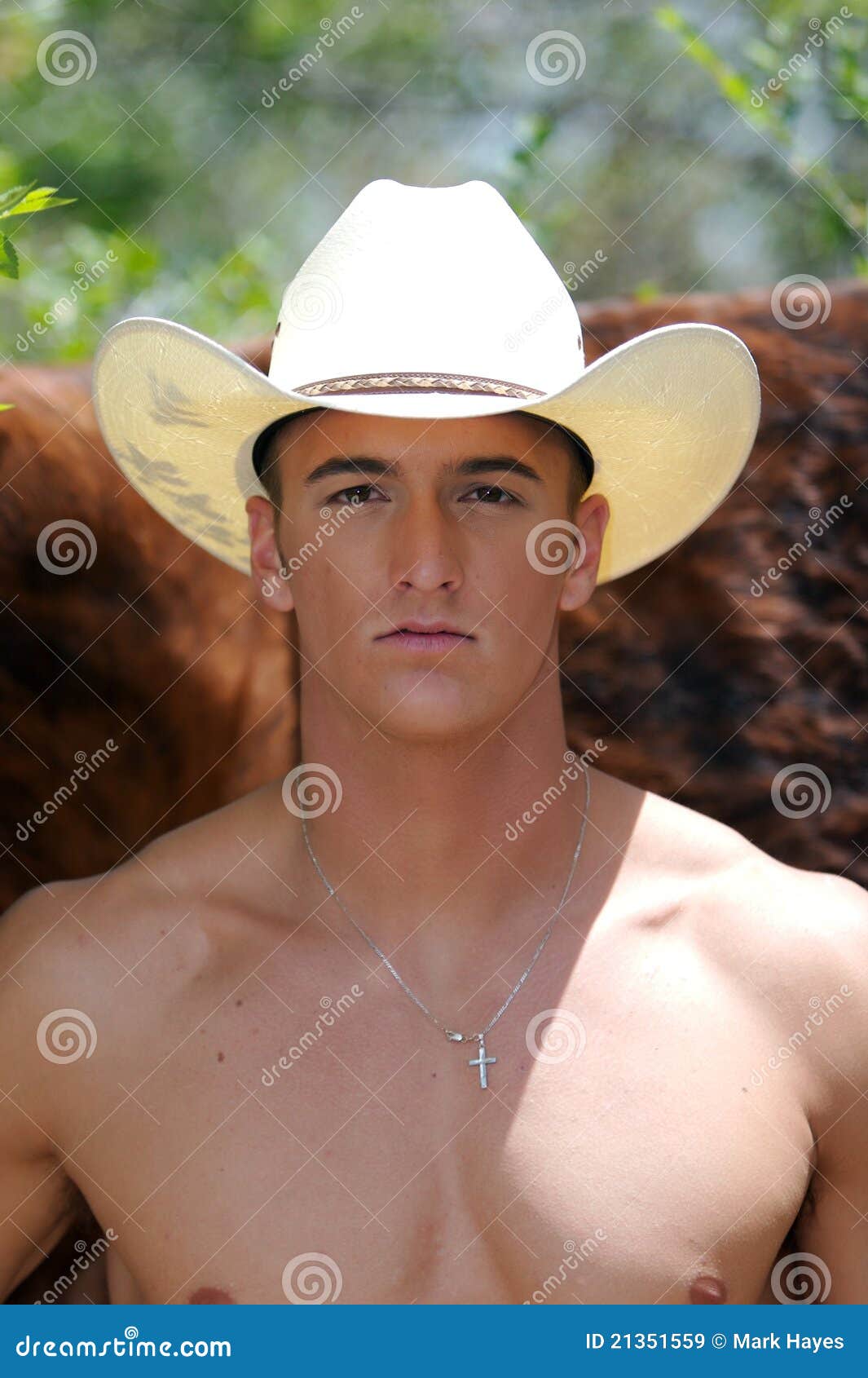 Cowboy Americana stock image. Image of twenties, cowboy - 21351559