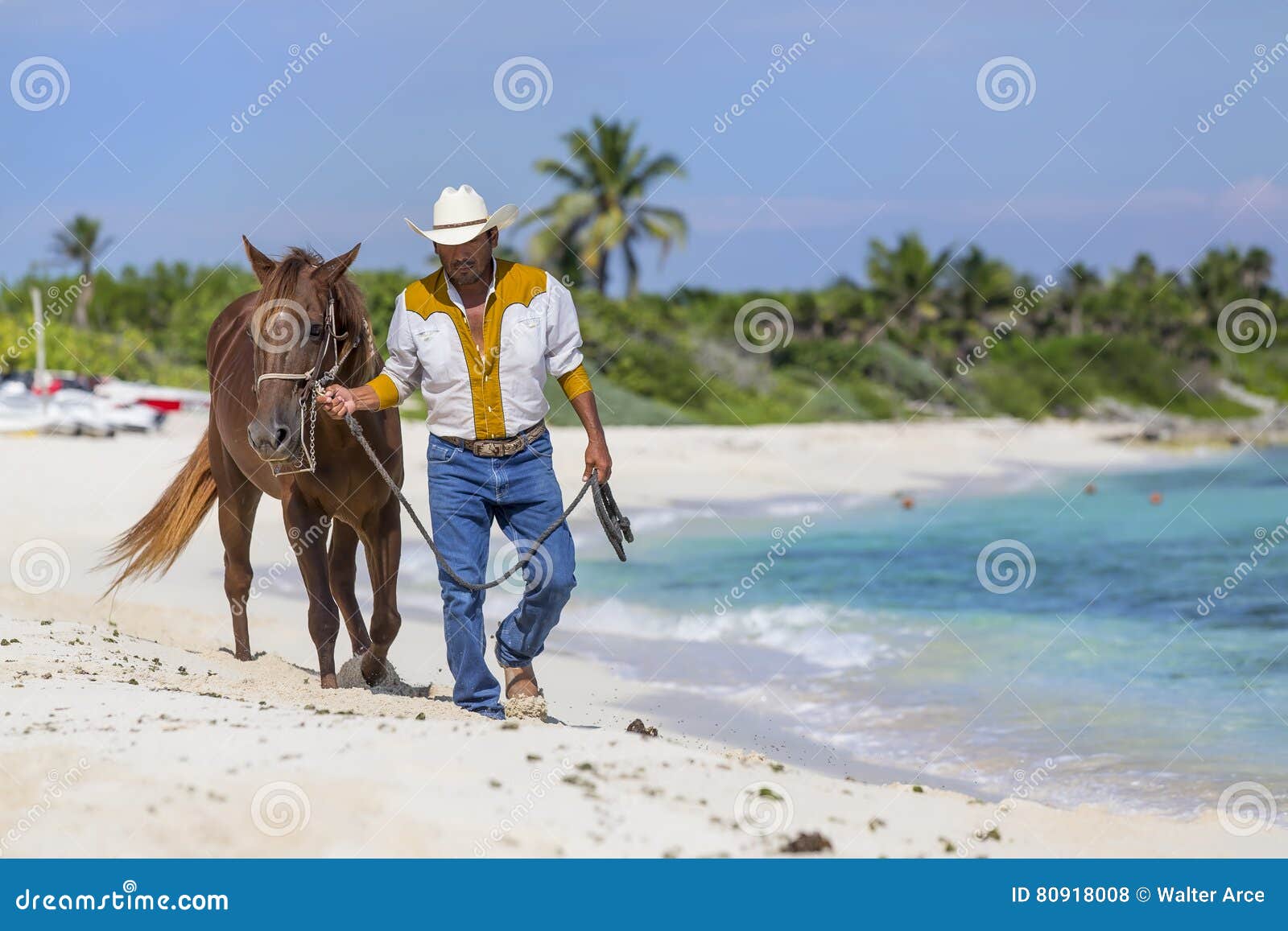 Cowboy on a Beach stock photo. Image of mexican, cowboy - 80918008