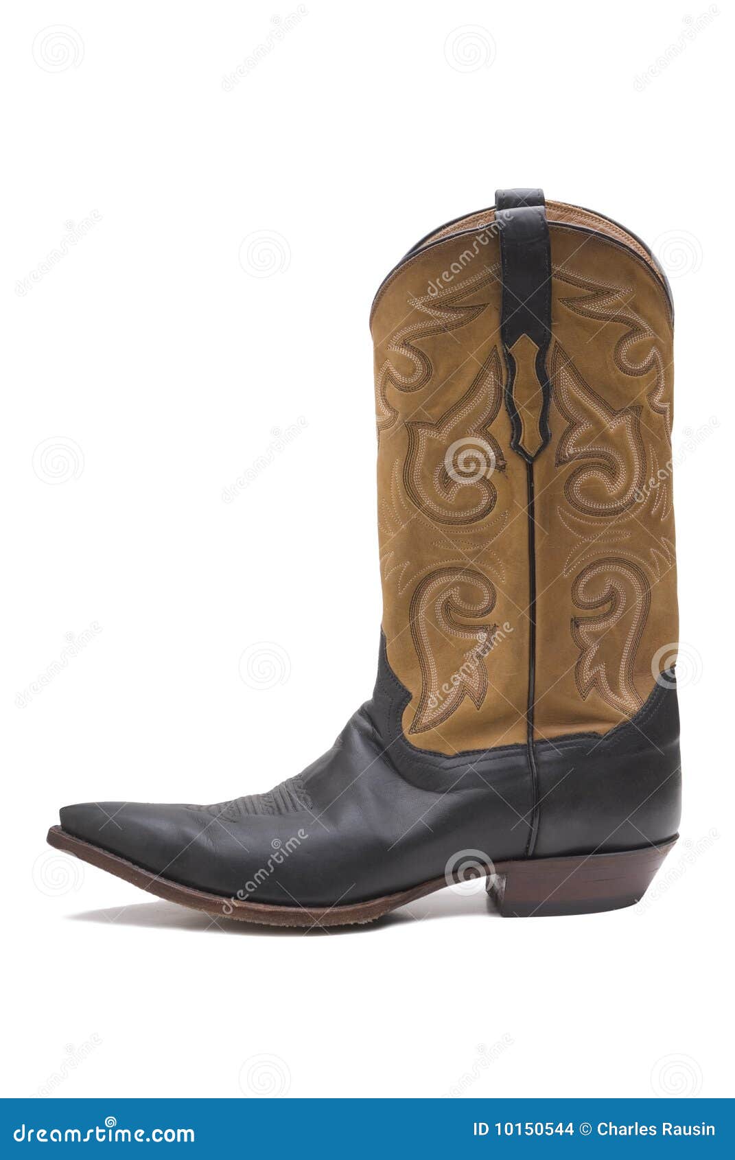 Cowboy Boot stock photo. Image of ornate, shoe, foot - 10150544