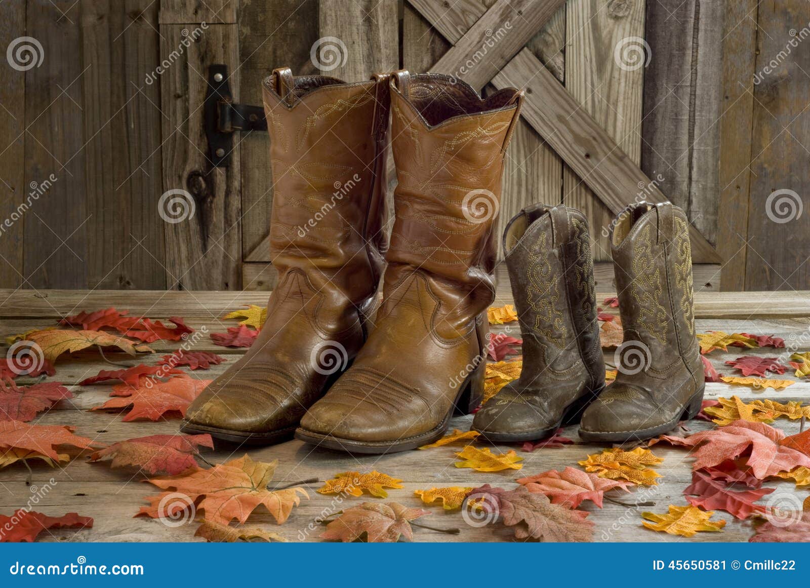 Cowboy Boots and Fall Leaves Stock Image - Image of branch, halloween ...