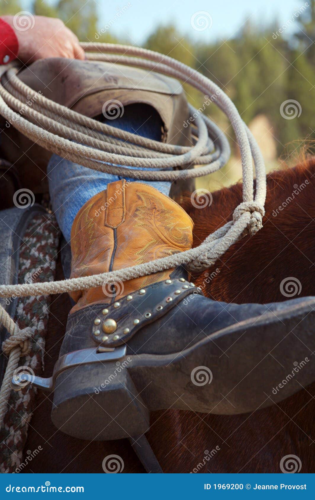Cowboy Boots and Ropes stock photo. Image of outside, saddle - 1969200
