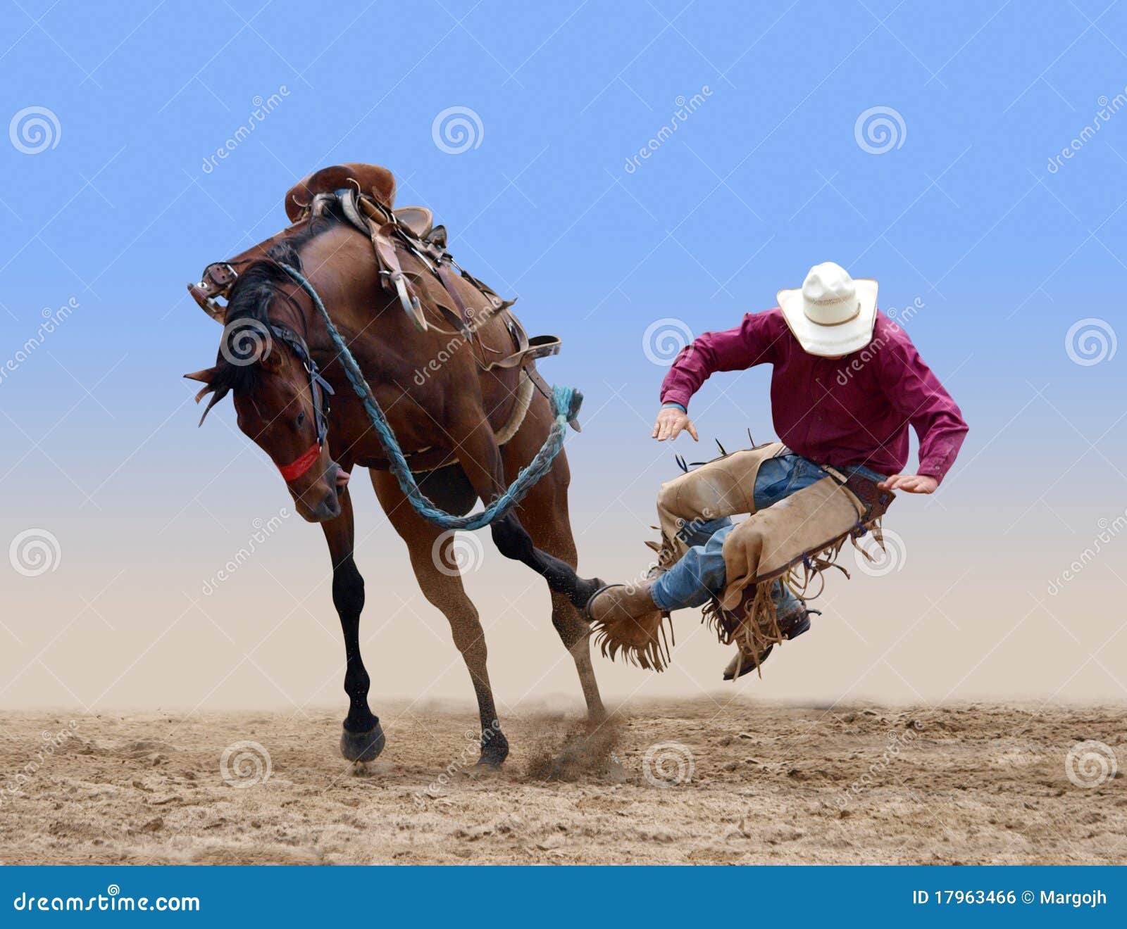 Cowboy Bucked De Um Bronco Bucking Foto de Stock - Imagem de salto ...