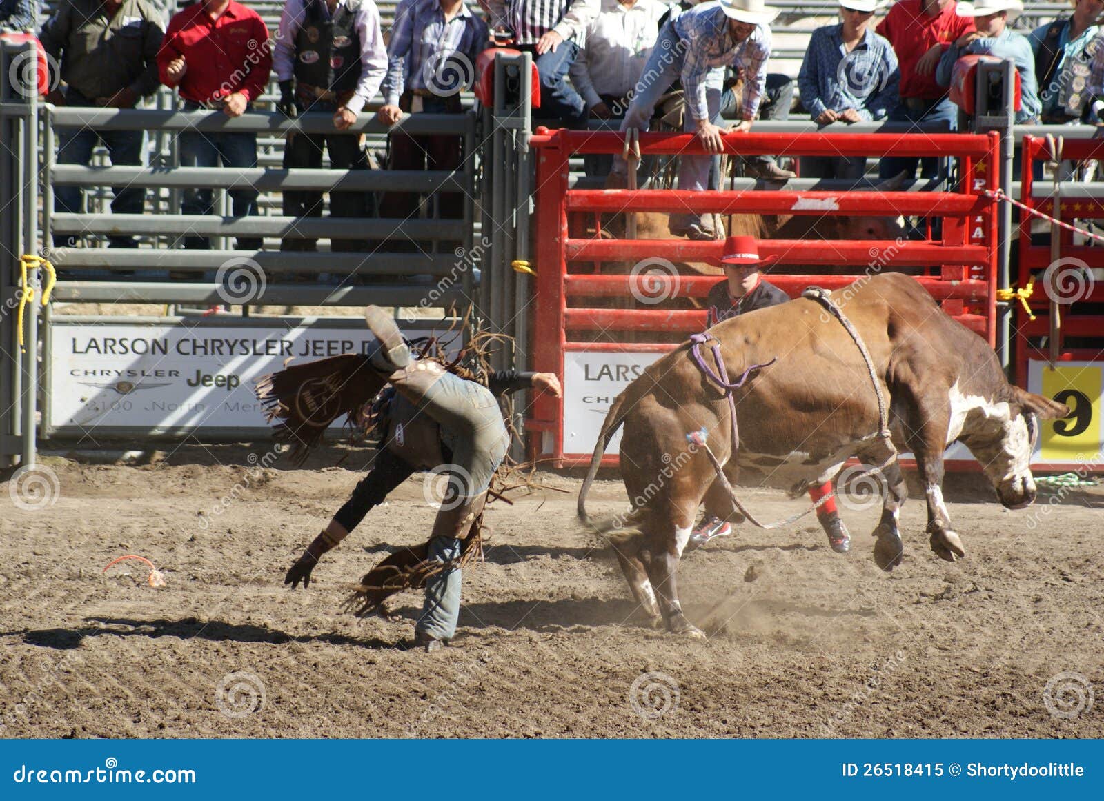 Cowboy bucked off bull. editorial image. Image of fall - 26518415