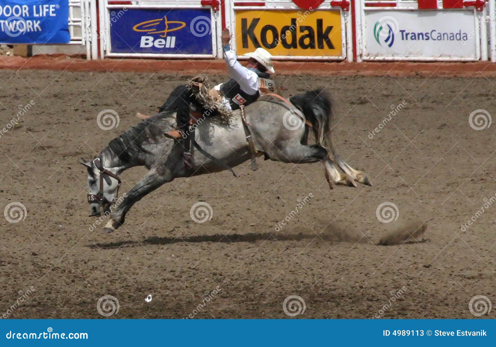 Cowboy on bucking bronco editorial stock photo. Image of cowboy - 4989113