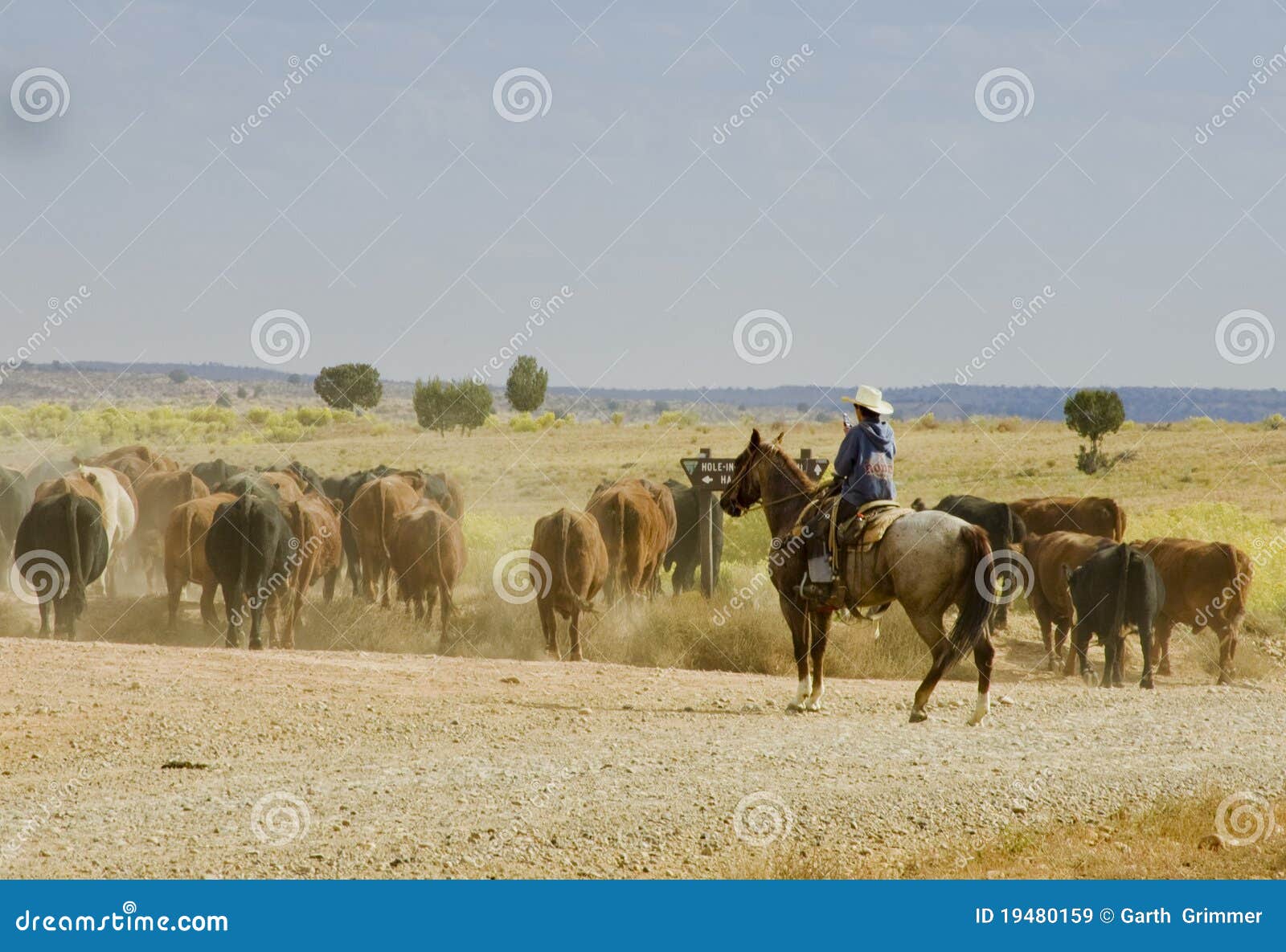 Cowboy with cell phone editorial stock image. Image of horse - 19480159