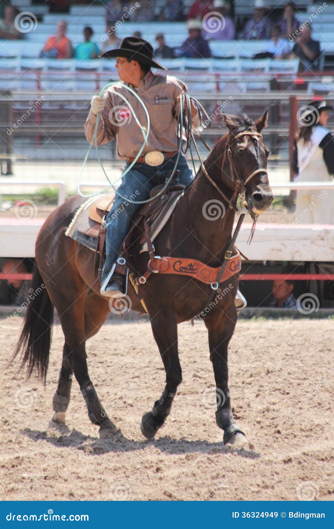 Cowboy - Cheyenne Frontier Days Rodeo 2013 Image stock éditorial ...