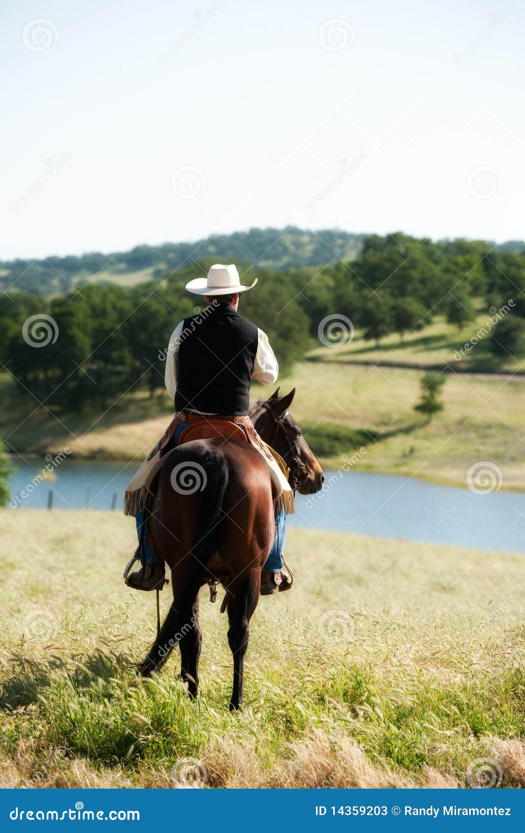 Cowboy Conduisant Son Cheval Image stock - Image du rancher, hommes ...