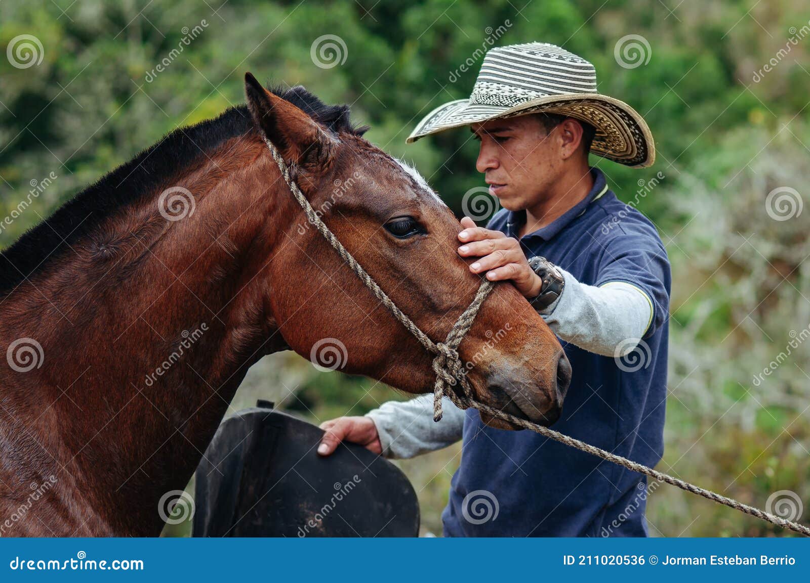 Cowboy Creating a Connection with His Horse Stock Photo - Image of ...
