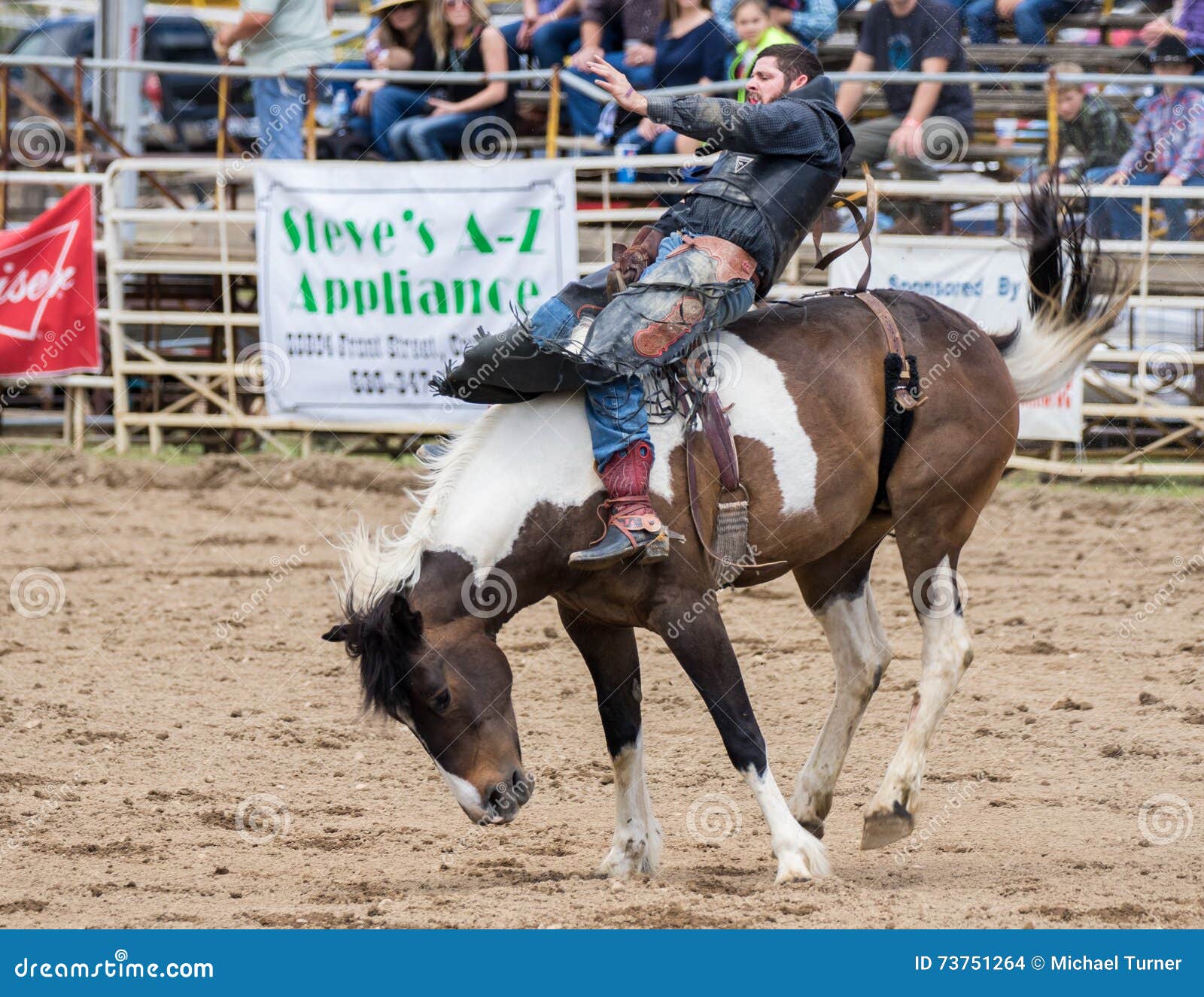 Cowboy de Bronco image stock éditorial. Image du action - 73751264