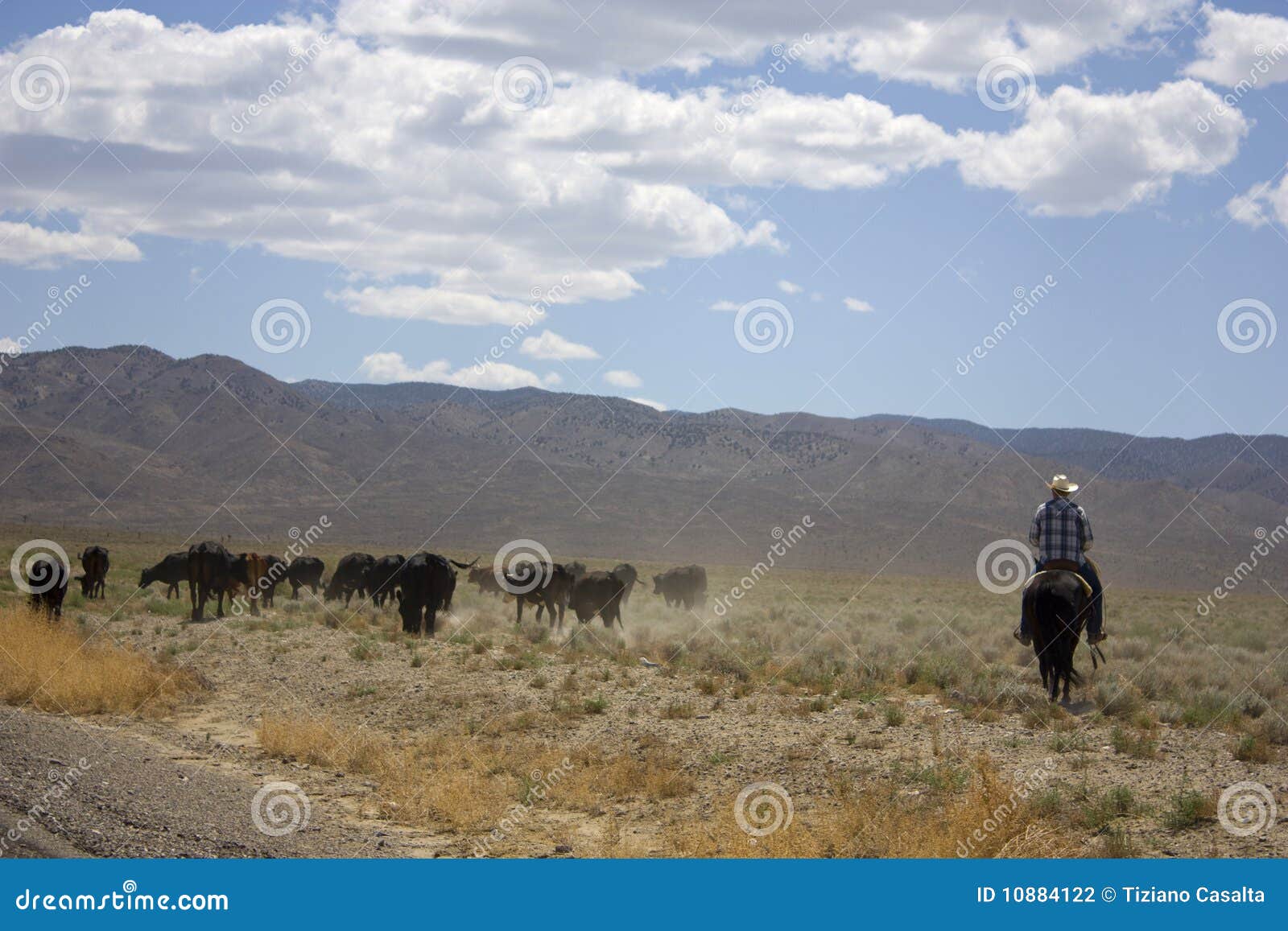 Cowboy in the Desert stock photo. Image of concentration - 10884122