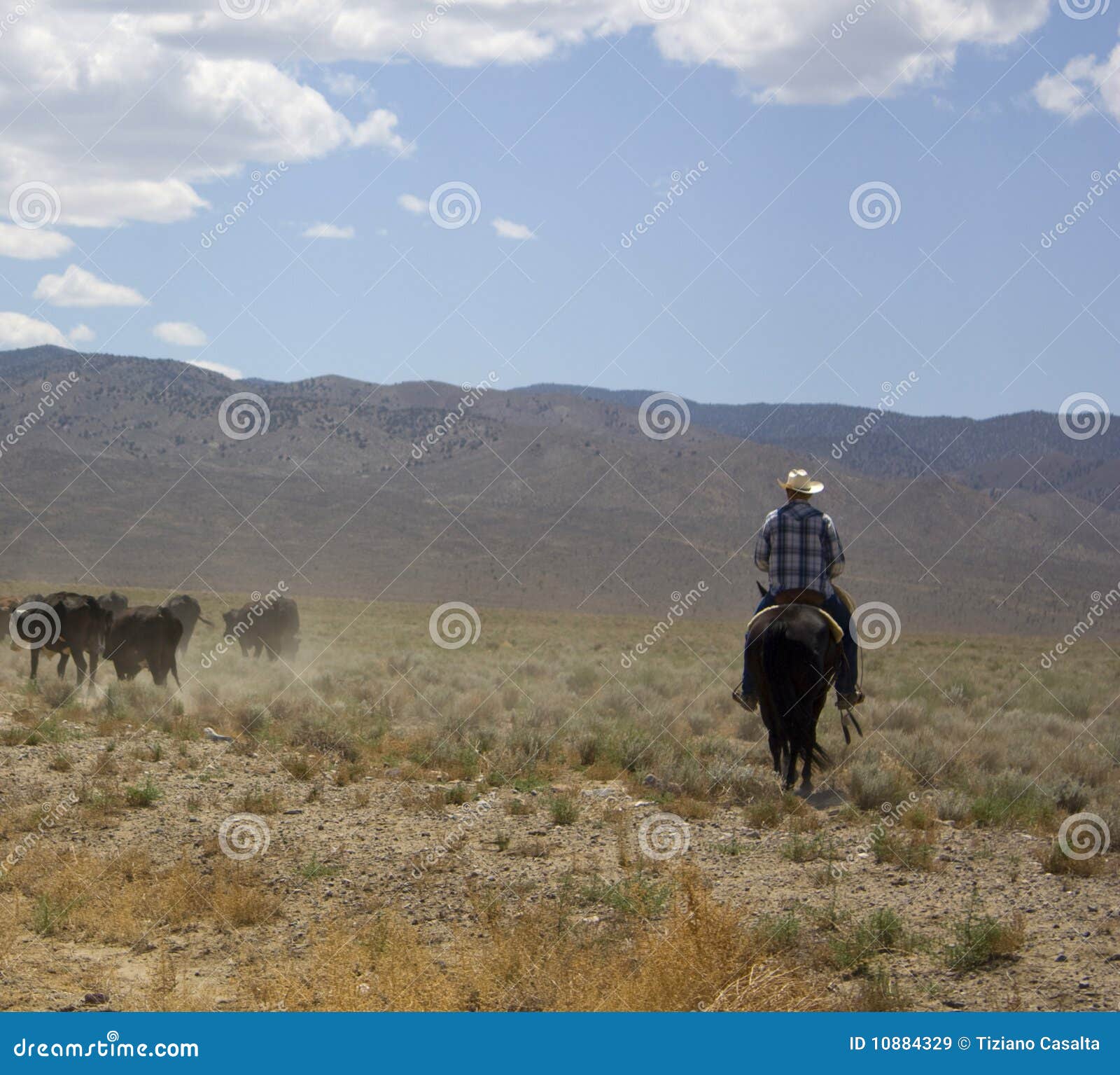 Cowboy in the Desert stock image. Image of boots, buck - 10884329