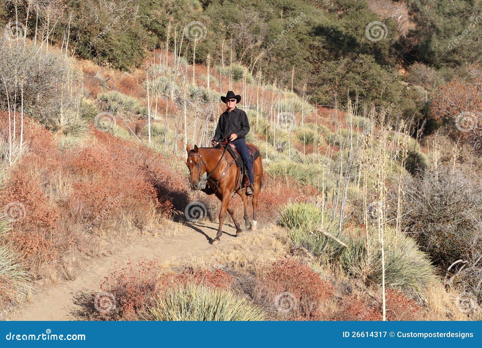 Cowboy on a Desert Mountain Trail. Stock Image - Image of pleasure ...