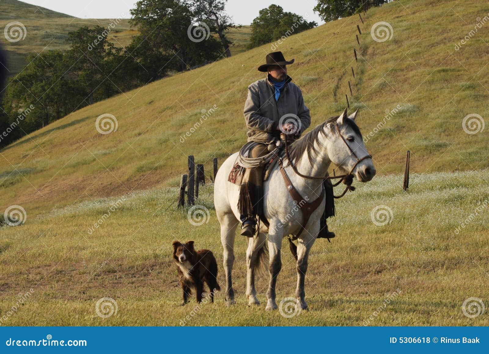 Cowboy and Dog stock photo. Image of working, hills, horse - 5306618