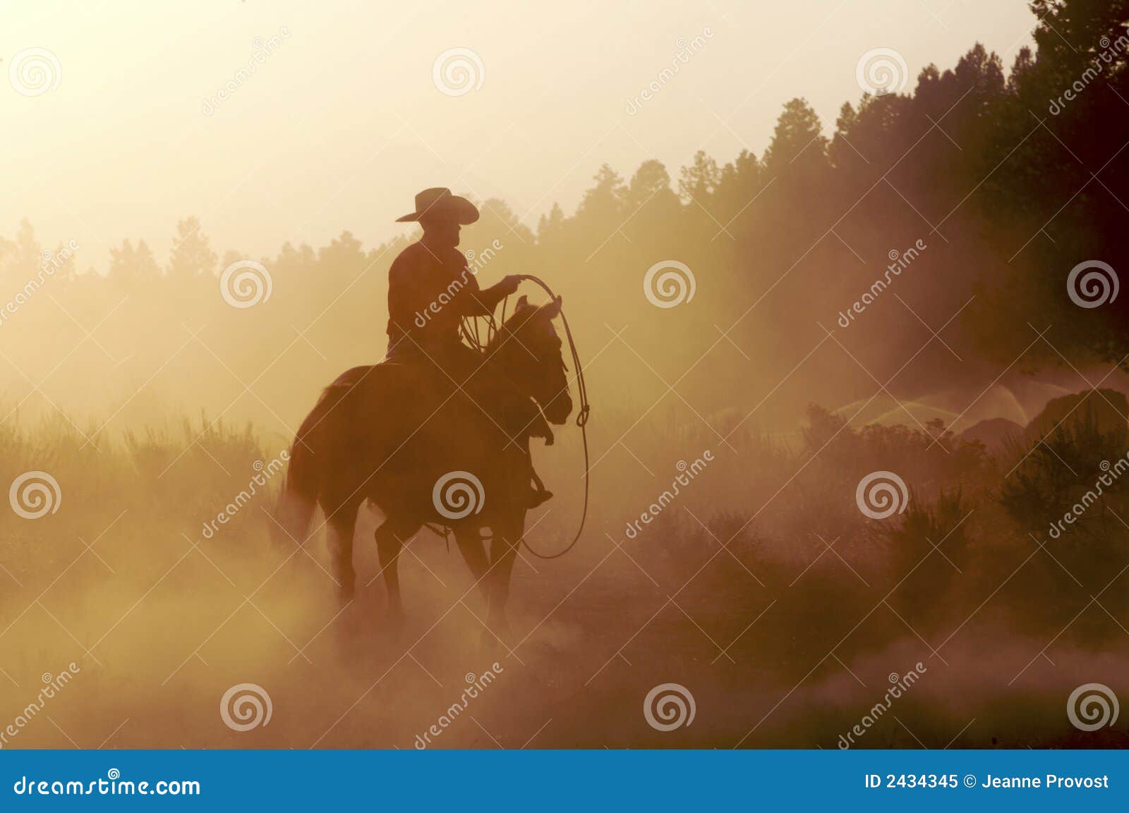 Cowboy in the Dust stock image. Image of early, lasso - 2434345