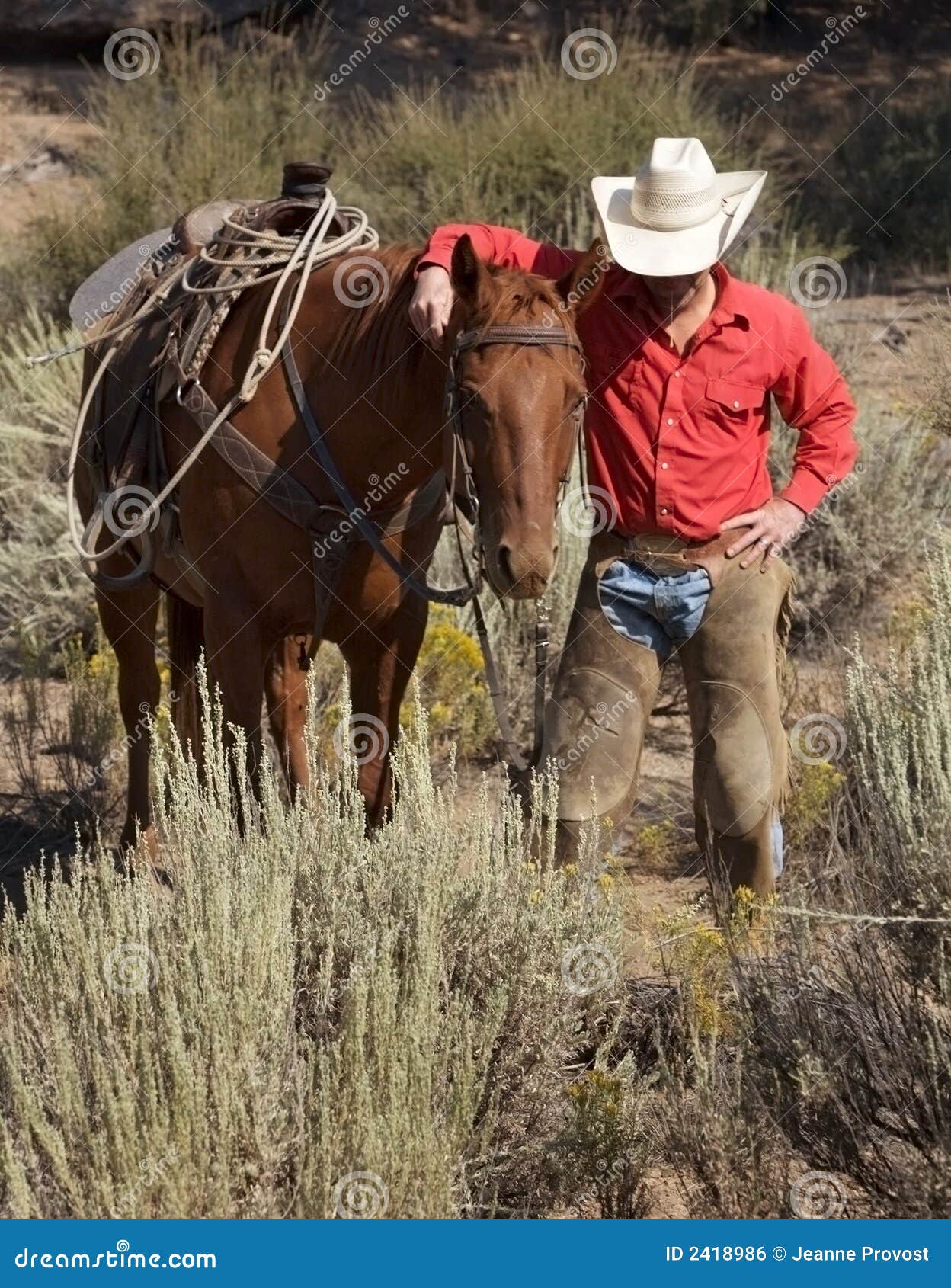 Cowboy et cheval photo stock. Image du vert, jeans, gars - 2418986