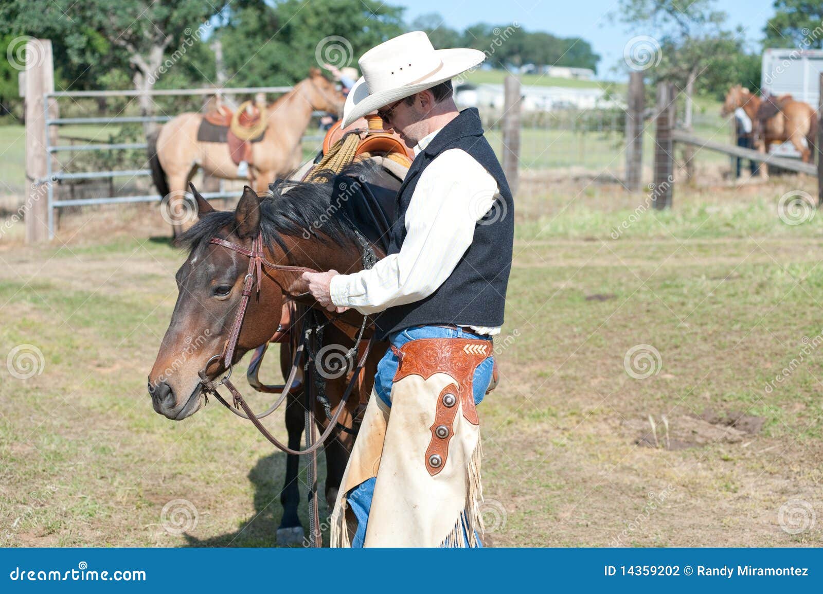 Cowboy et son cheval photo stock. Image du physique, action - 14359202