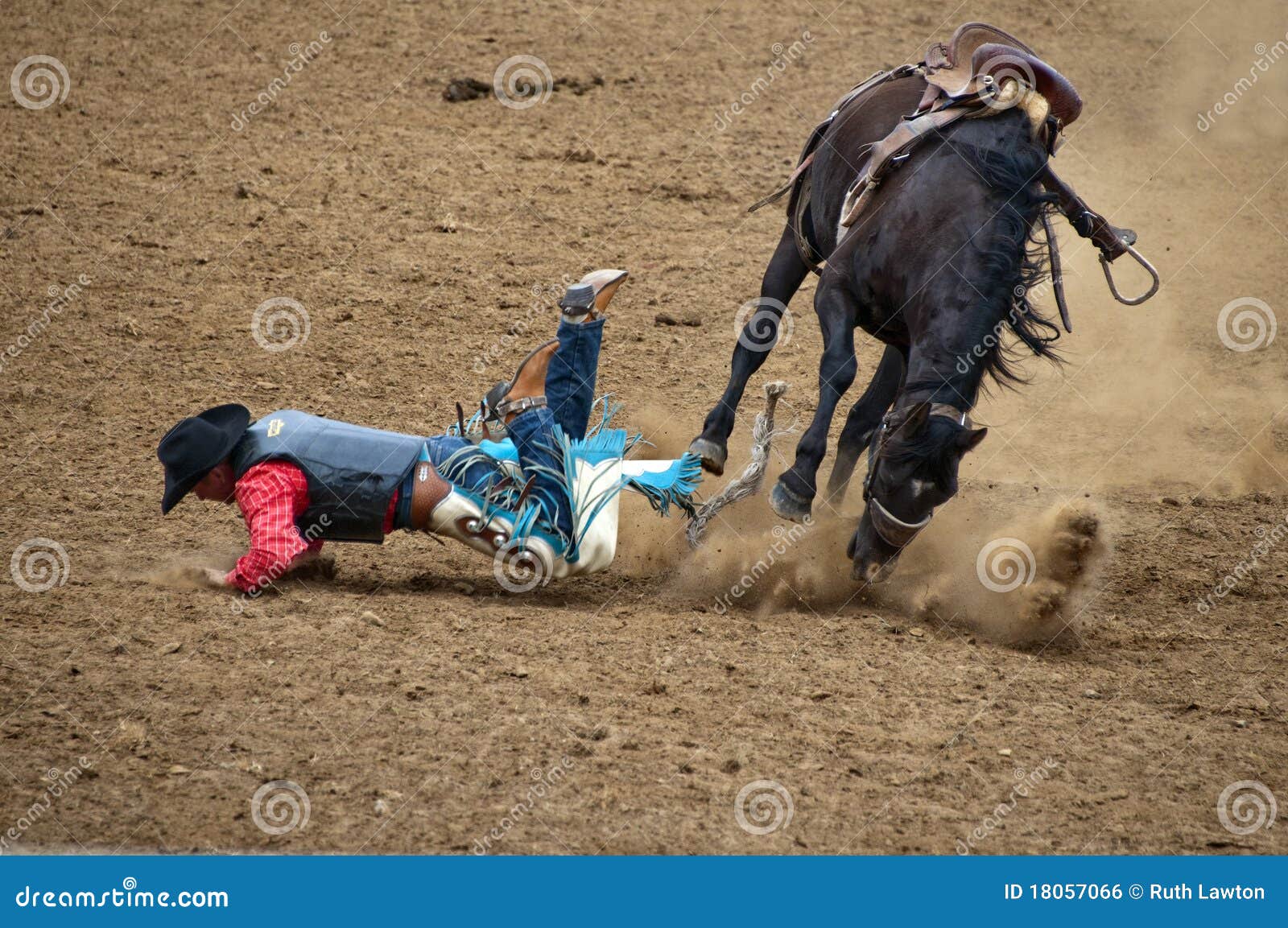 Cowboy Falling Off a Bucking Bronco Editorial Photo - Image of bull ...