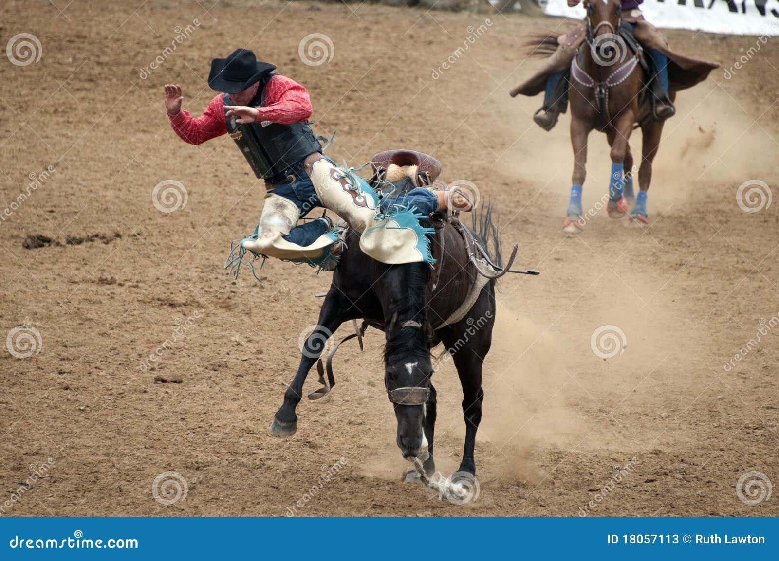 Cowboy Falling Off a Bucking Bronco Editorial Stock Photo - Image of ...