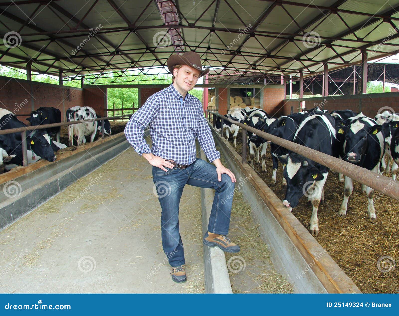 Cowboy on Farm stock photo. Image of cowshed, beef, cowherd - 25149324