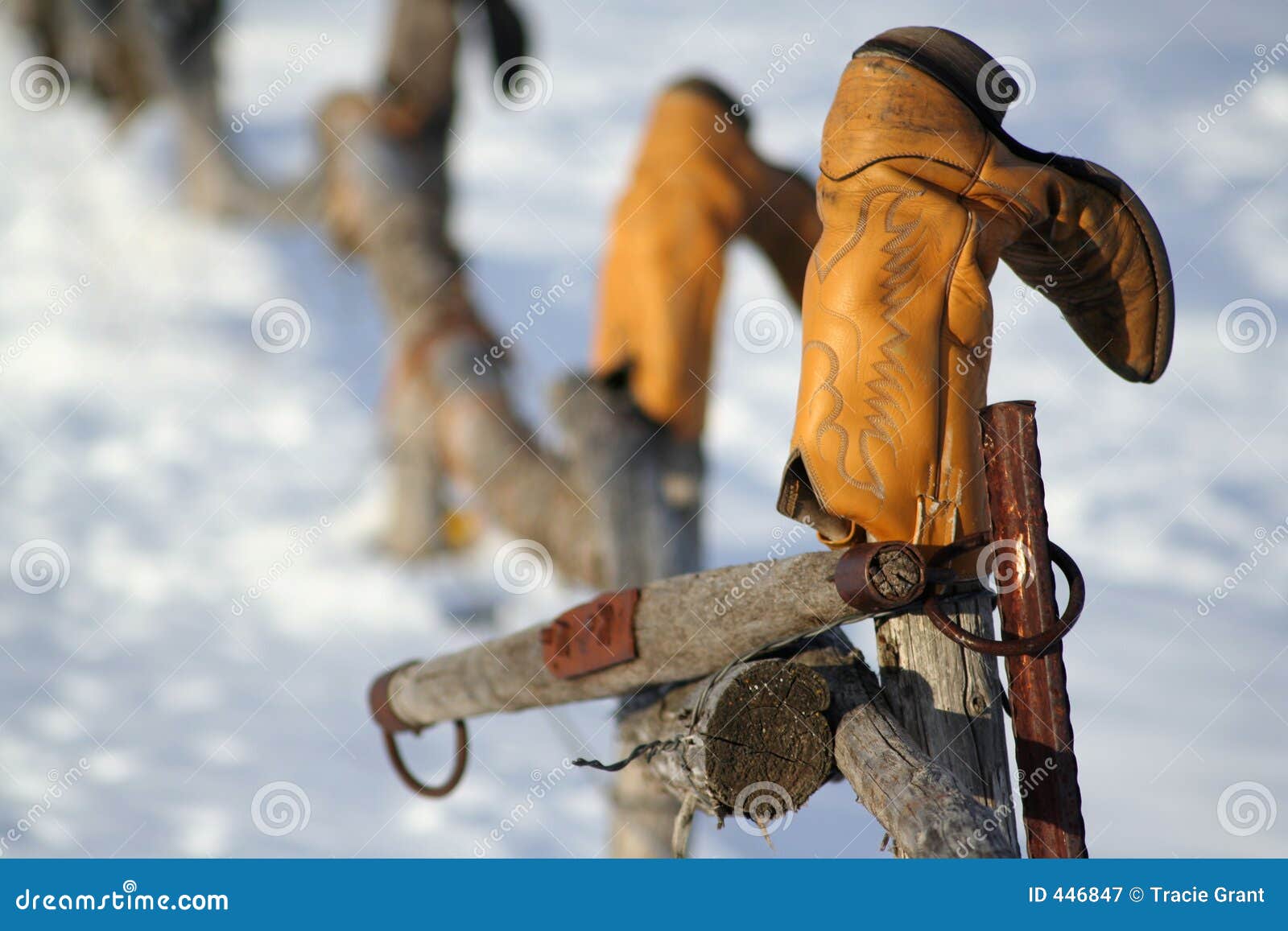 Cowboy Fence stock image. Image of posts, post, heal, ranch - 446847