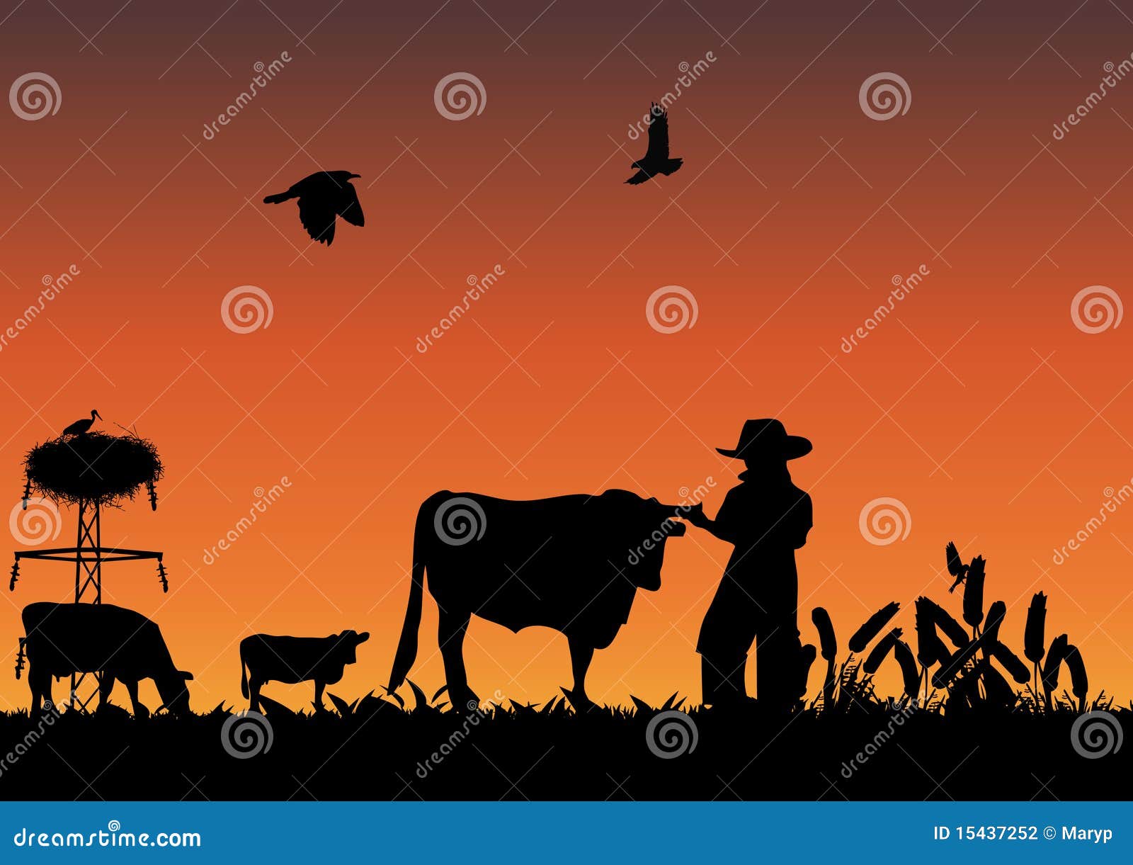 Cowboy On Field Cartoon Vector | CartoonDealer.com #13843735