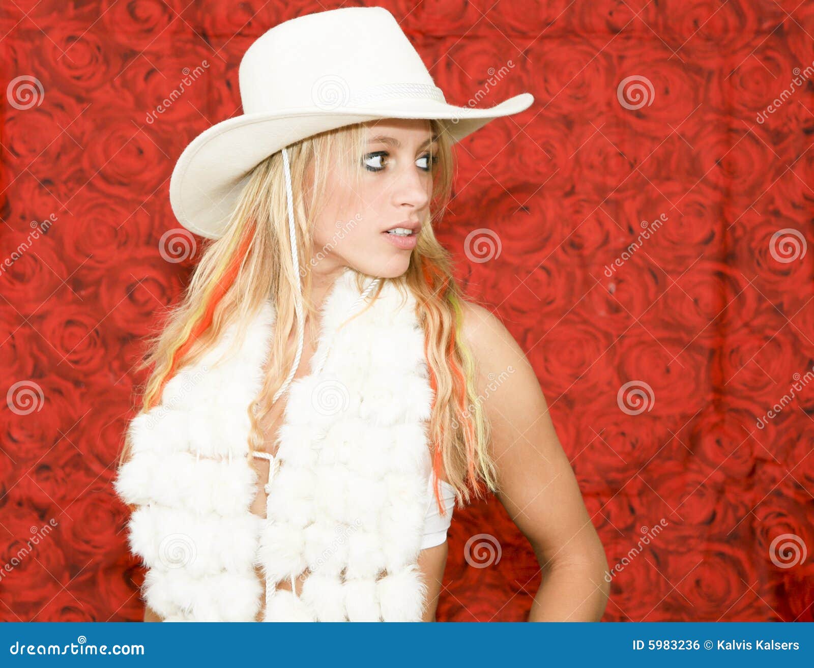 Cowboy girl stock photo. Image of copy, female, elegance - 5983236