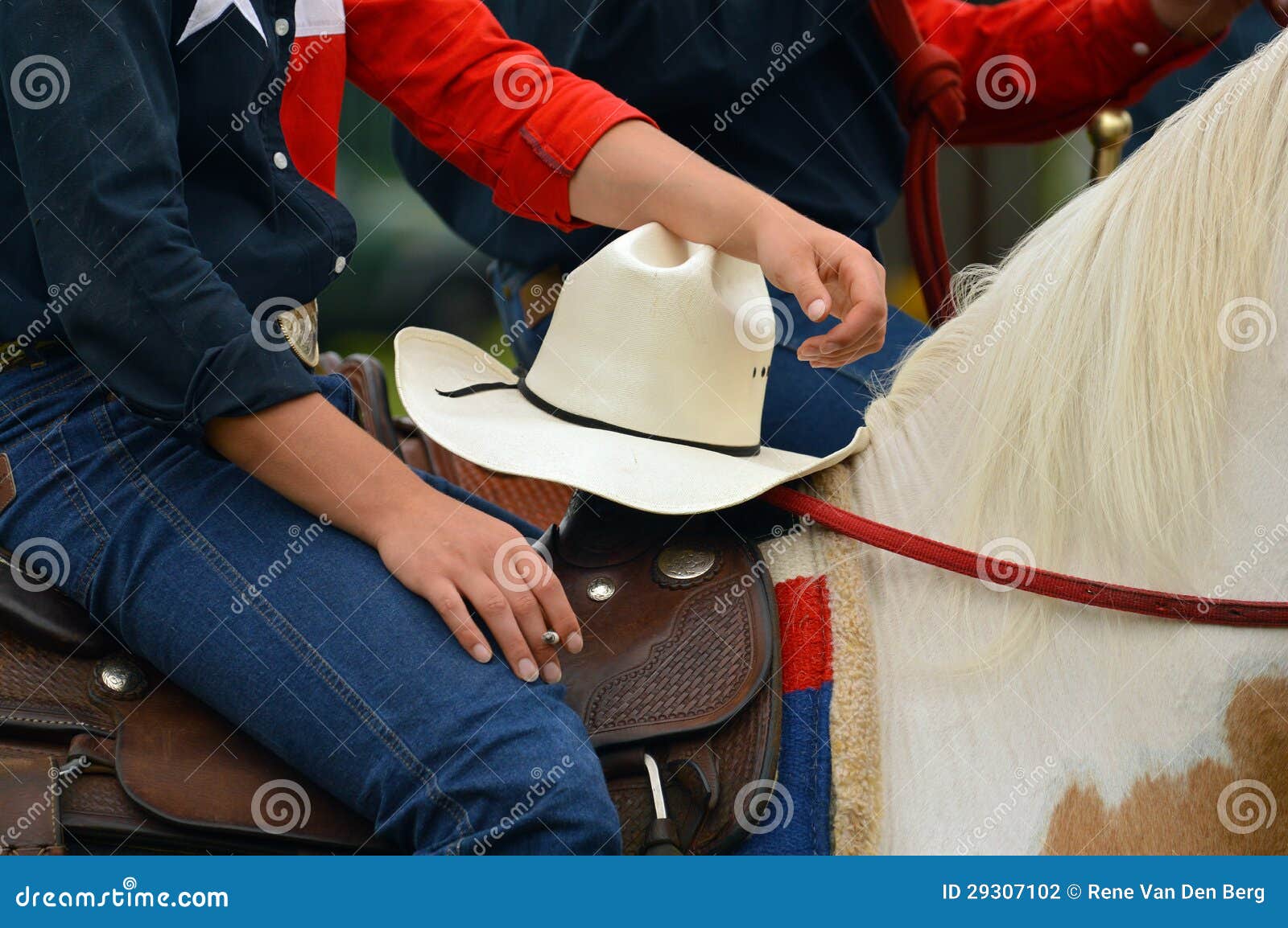 Cowboy hat stock photo. Image of hand, horn, country - 29307102