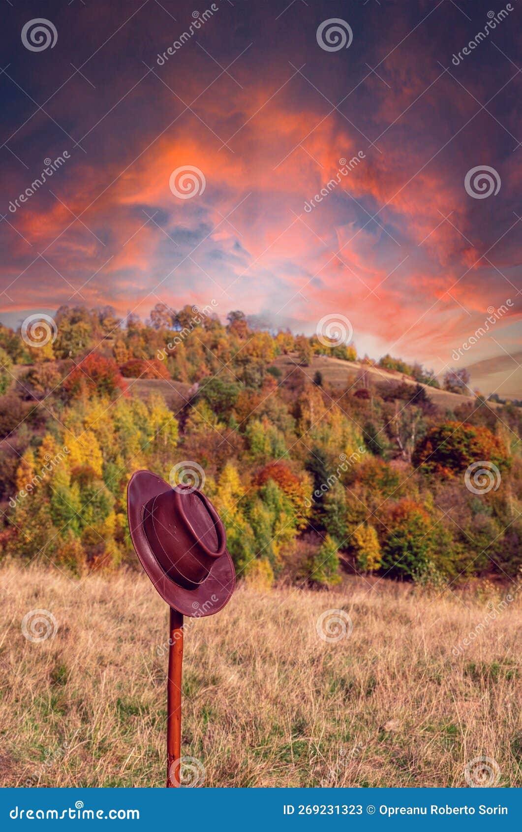 Cowboy Hat on Autumn Background Stock Image - Image of cowboy, clothes ...