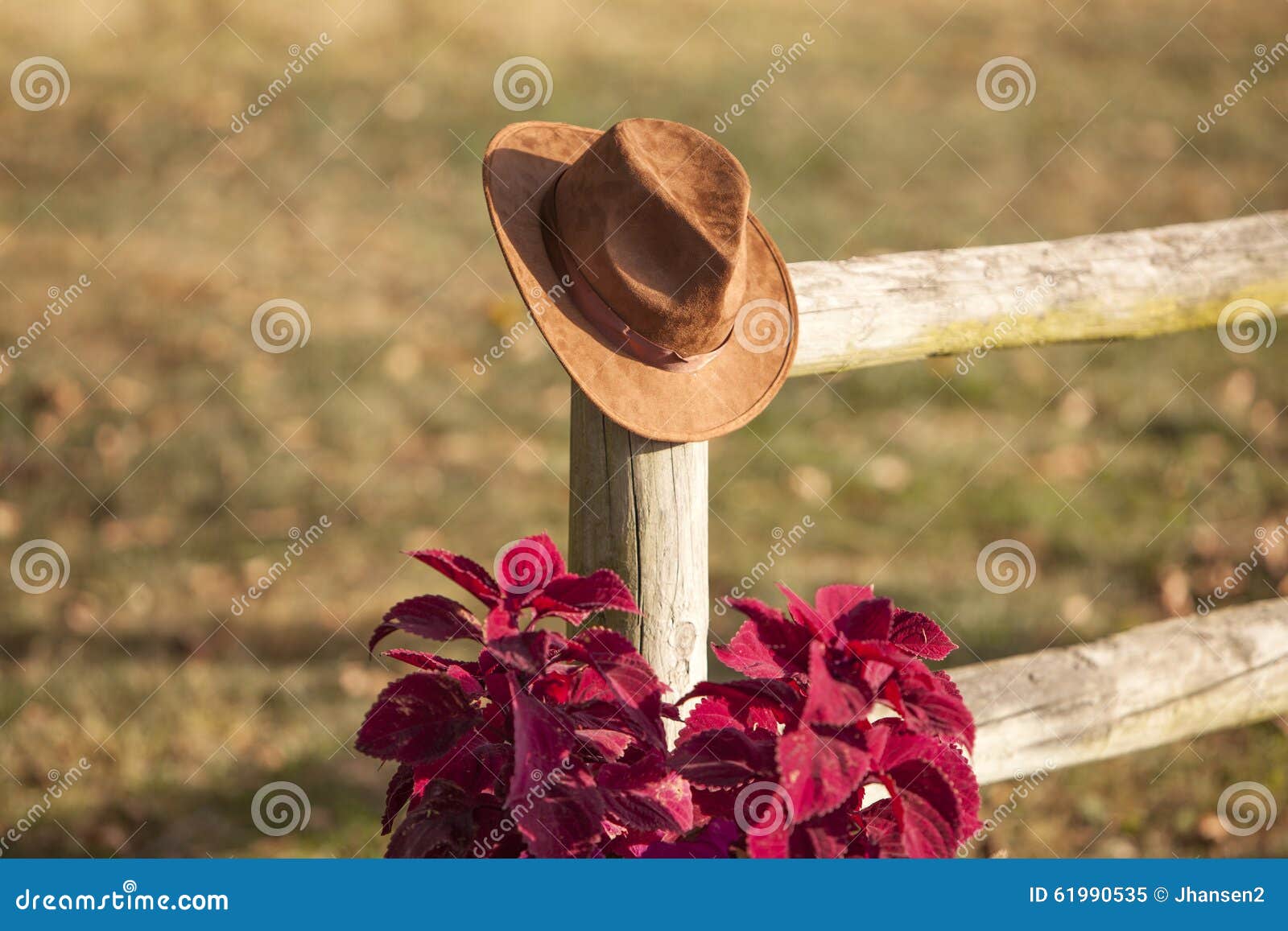 Cowboy Hat on a Post stock image. Image of western, autumn - 61990535