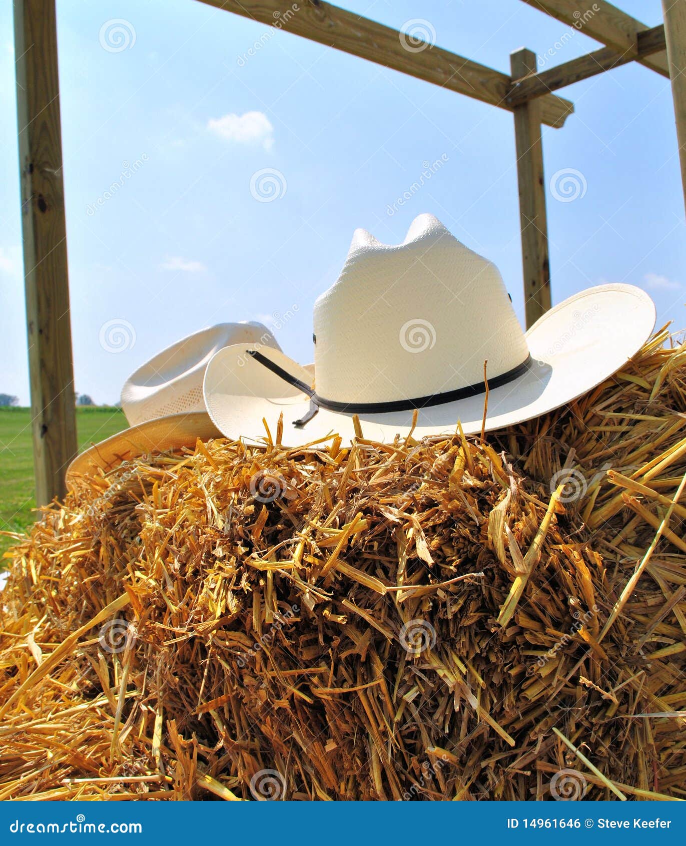 Cowboy Hats on Hay stock photo. Image of farm, post, bail - 14961646