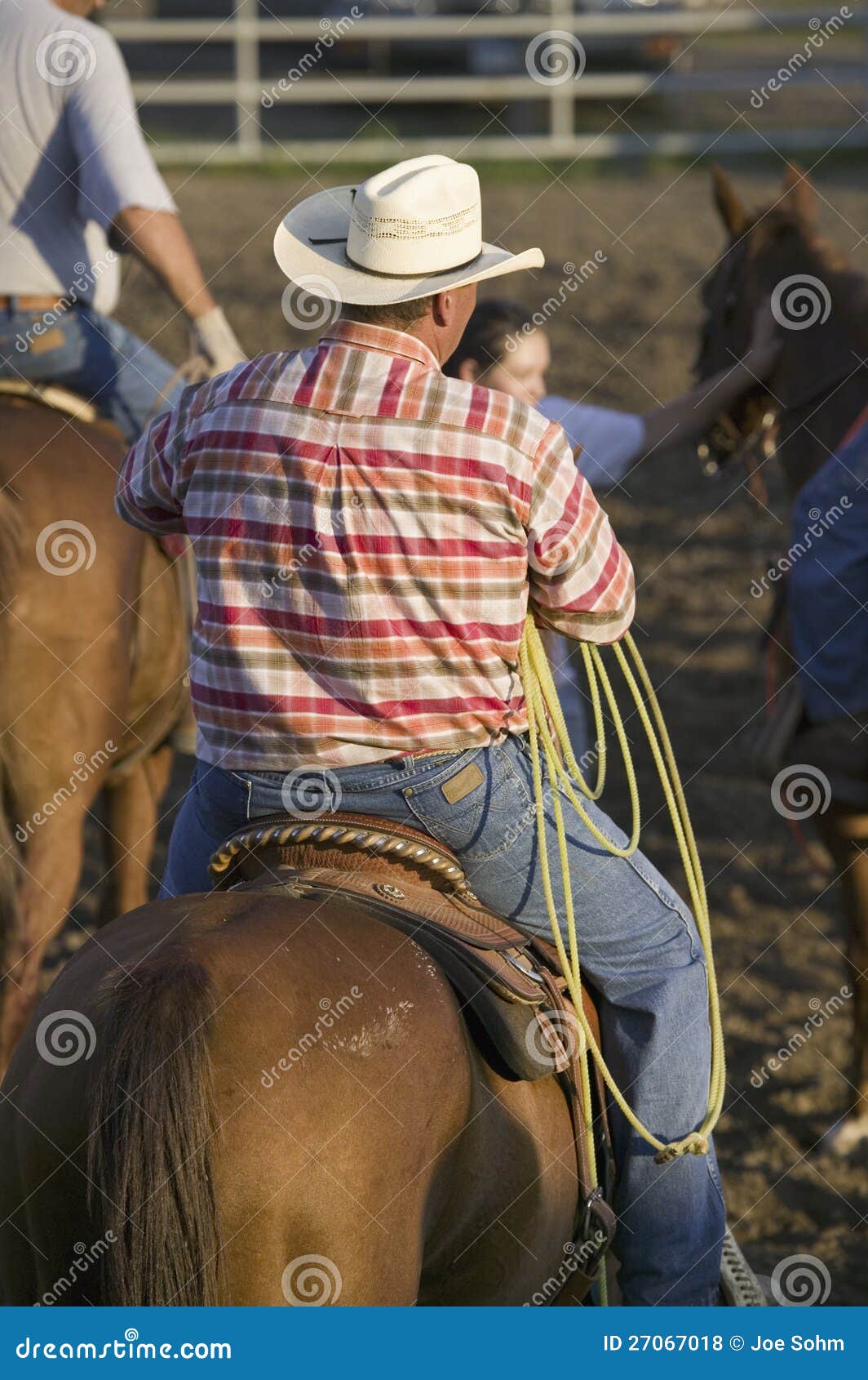 Cowboy on horse with rope editorial stock photo. Image of casual - 27067018