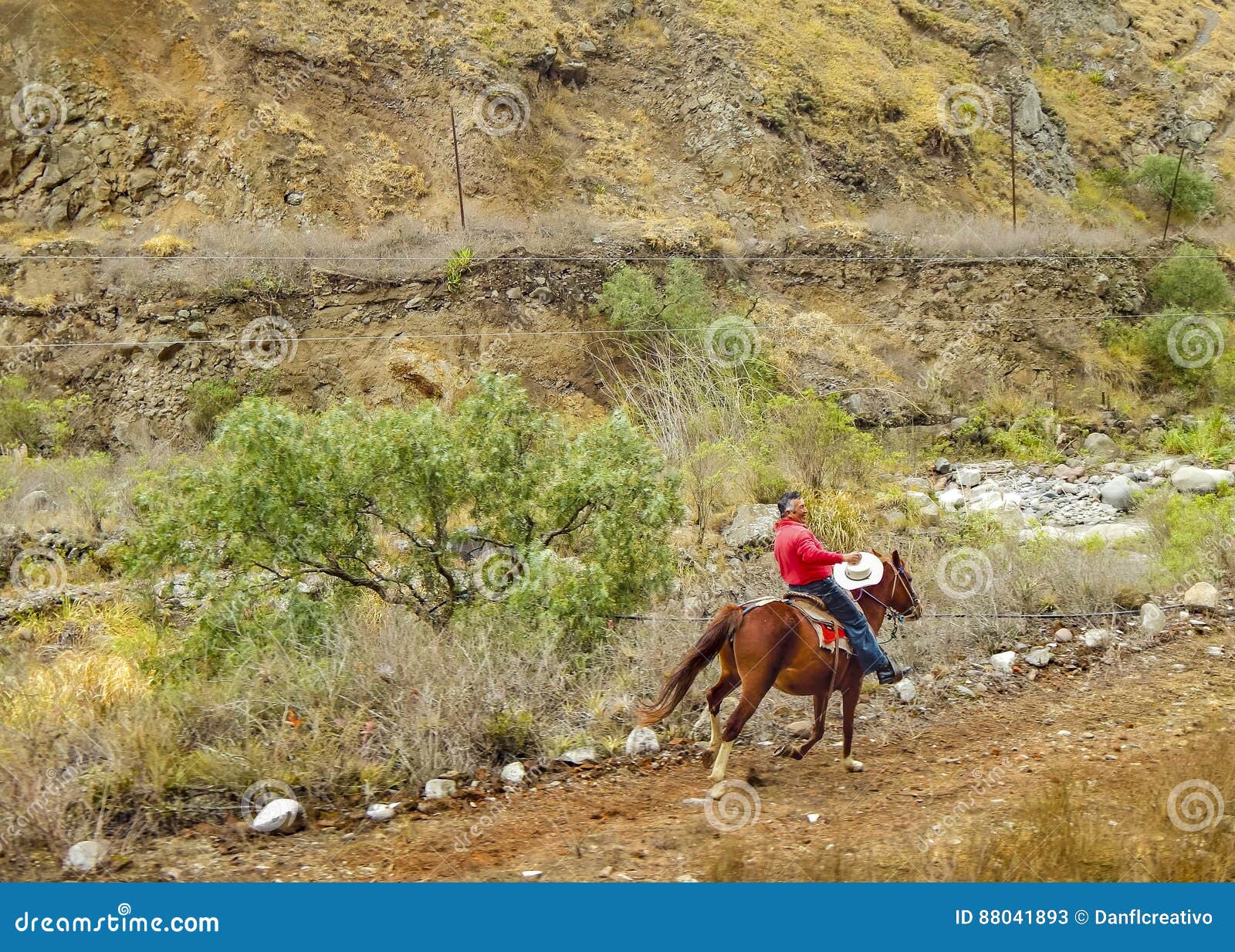 Cowboy latin Riding Horse photo stock éditorial. Image du horseback ...