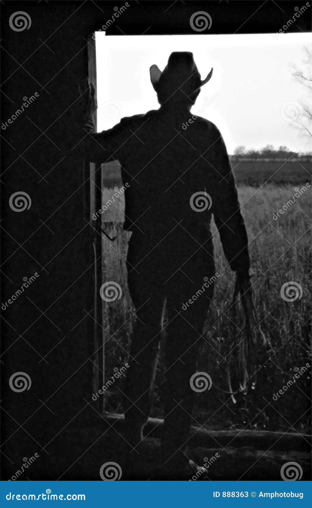 Cowboy Morning stock image. Image of cowgirl, morning, dawn - 888363