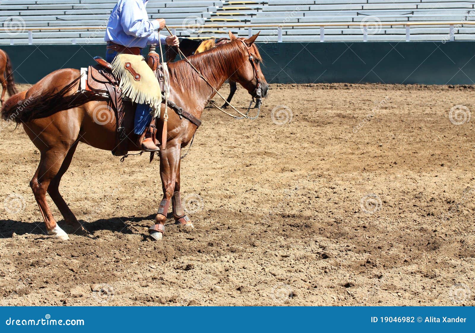 Cowboy op Paard stock foto. Image of openbaar, paarden - 19046982