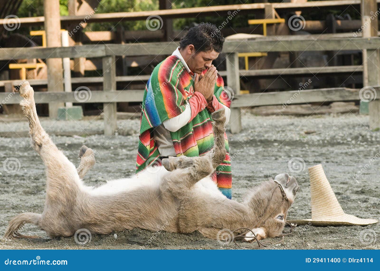 Cowboy Praying editorial image. Image of cardiopulmonary - 29411400