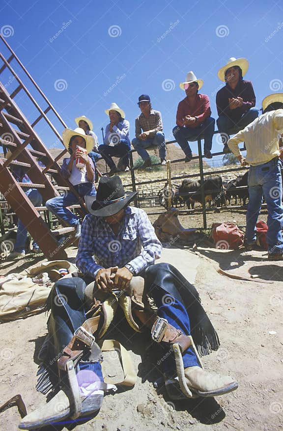 Cowboy resting, editorial photo. Image of united, color - 26902201