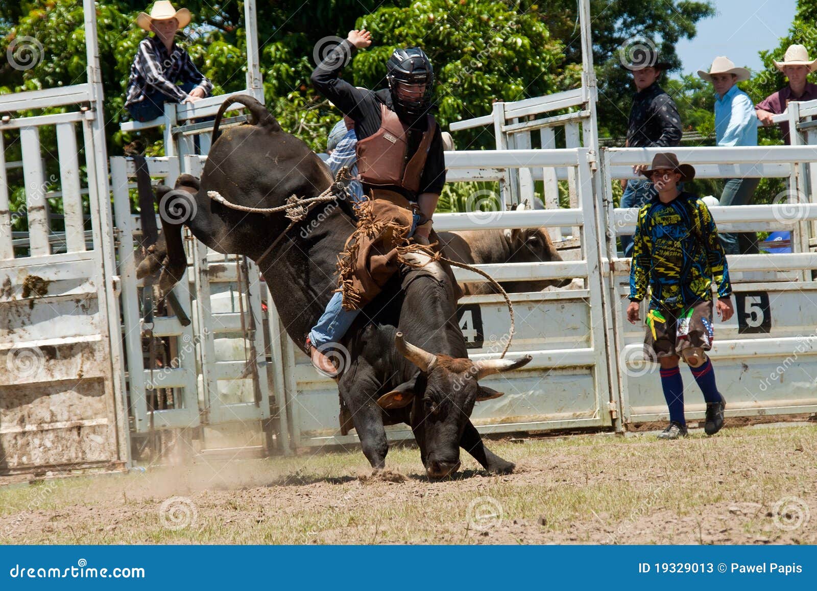 Cowboy Rides Dangerous Bull Editorial Stock Photo - Image of bull, gate ...