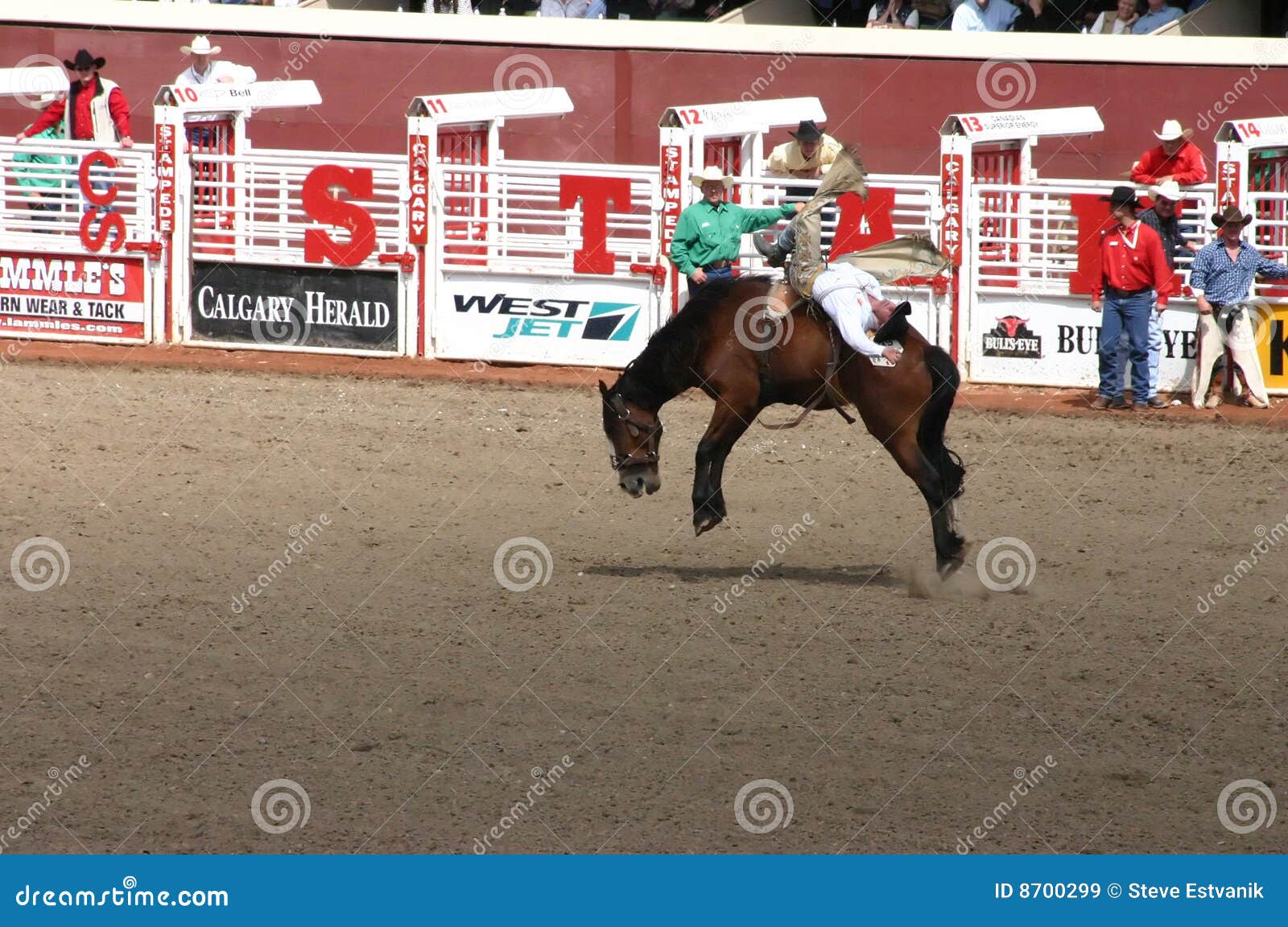 Cowboy Riding Bucking Bronco Editorial Stock Image - Image of sport ...
