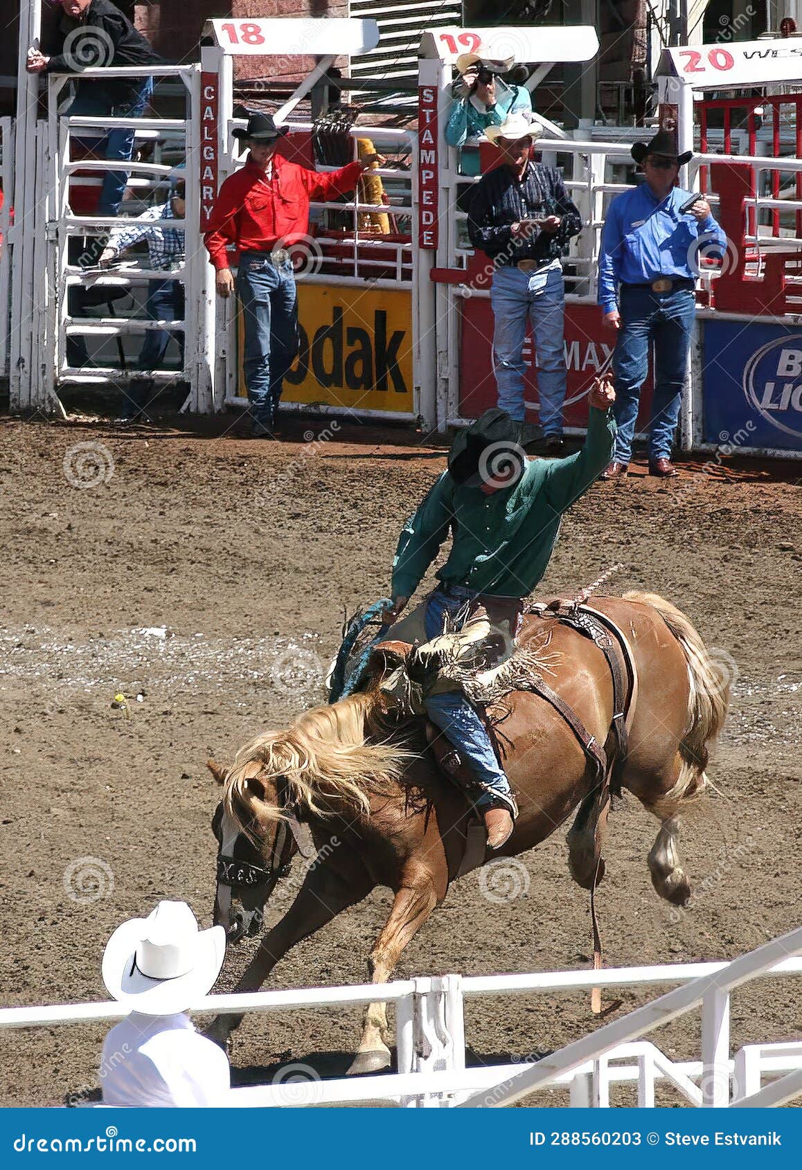 Cowboy Riding Bucking Bronco at the Calgary Stampede Editorial Stock ...