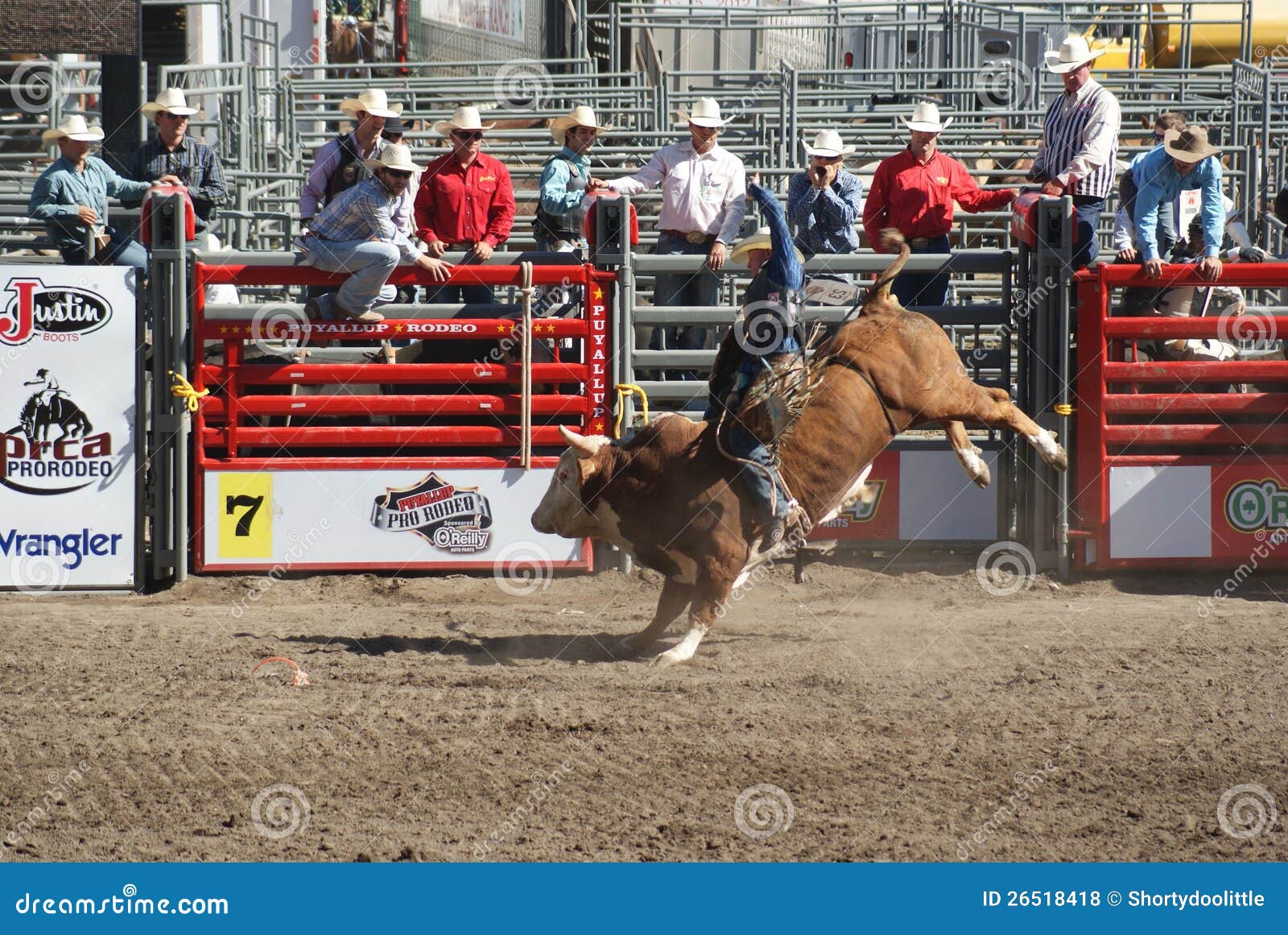 Cowboy riding bull editorial stock photo. Image of bucking - 26518418