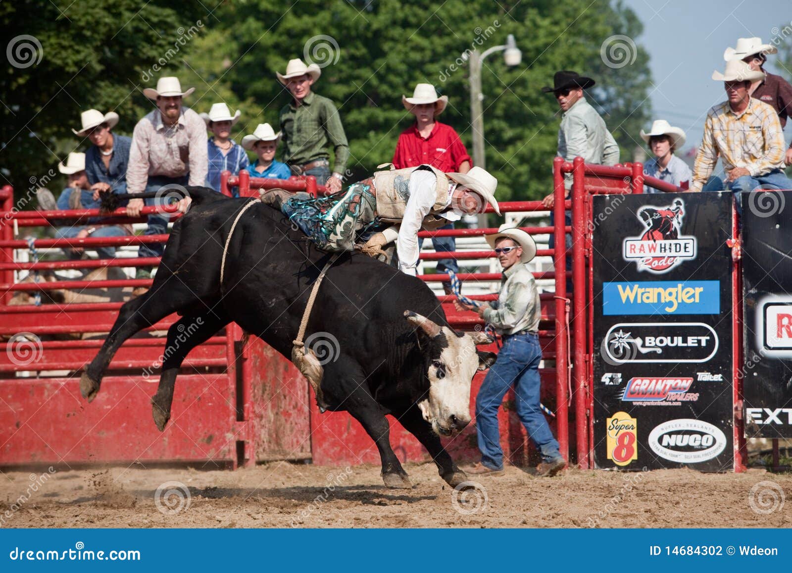 Cowboy Riding a Bull in Competition Editorial Photography - Image of ...