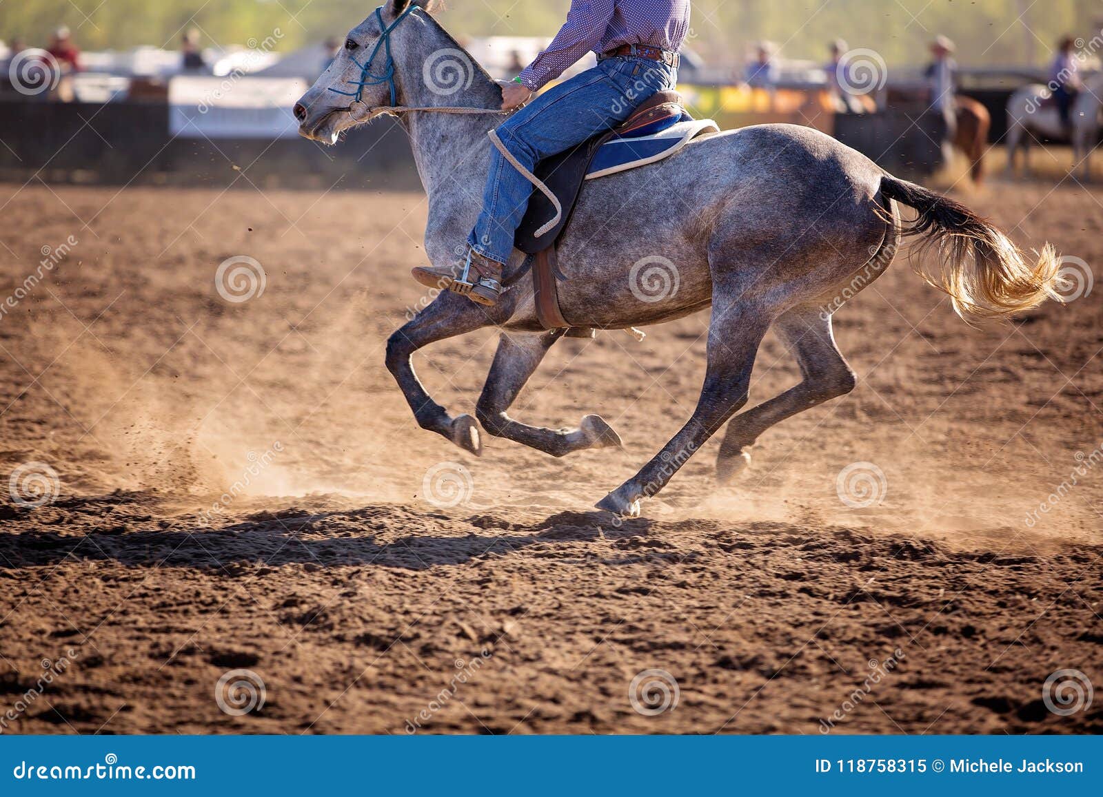 Cowboy-Riding in Campdraft-Ereignis an Einem Land-Rodeo Stockbild ...