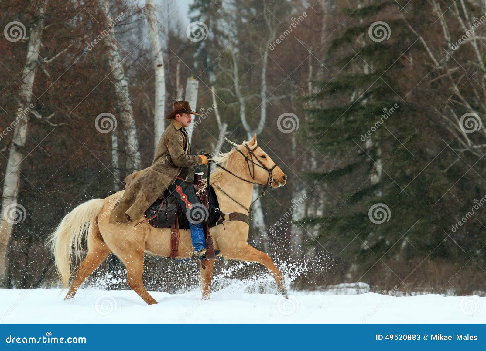 Cowboy Riding and Kicking Up Snow Editorial Stock Photo - Image of ...