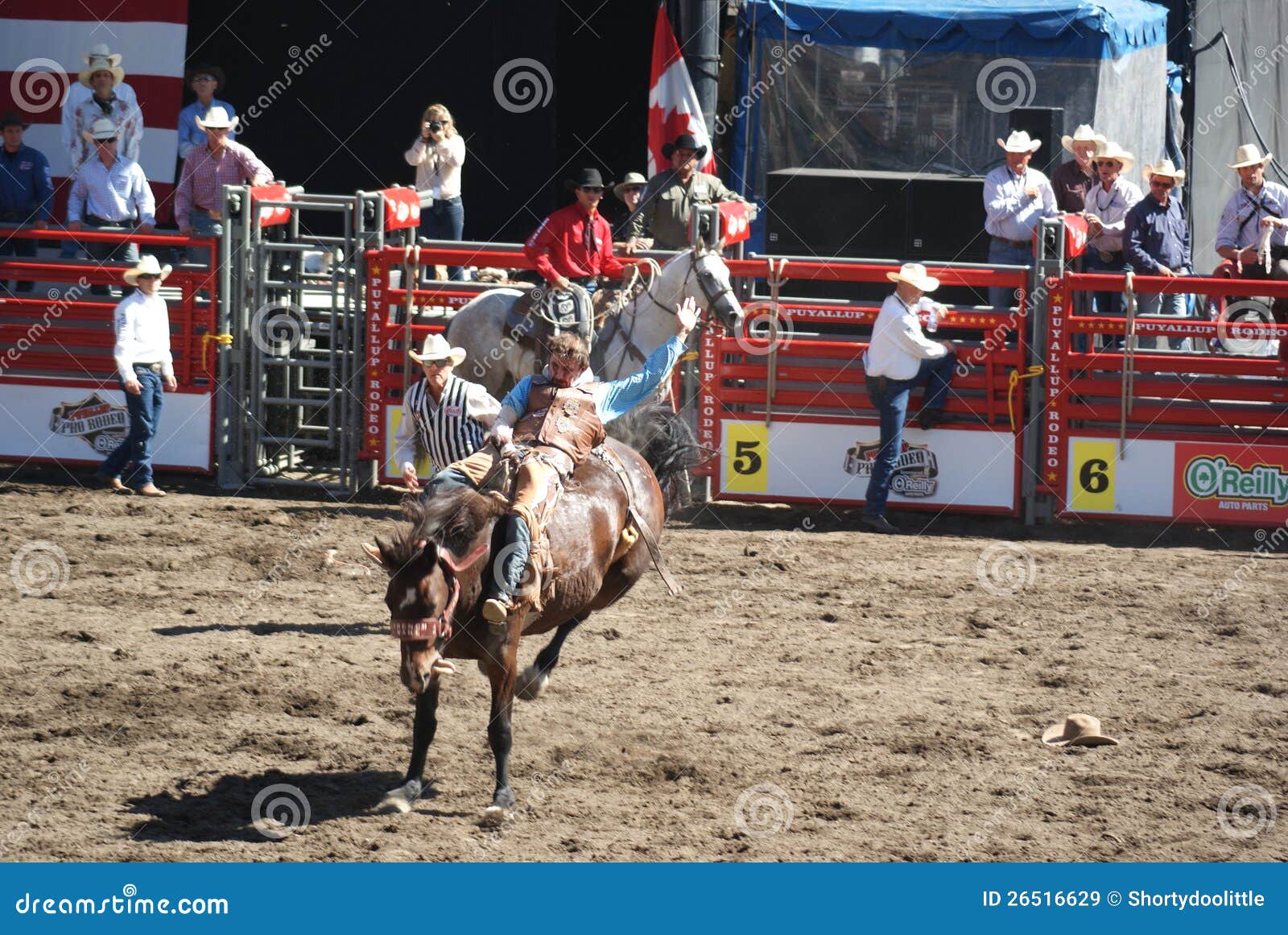 Cowboy Riding the Wild Horse. Editorial Stock Image - Image of wild ...