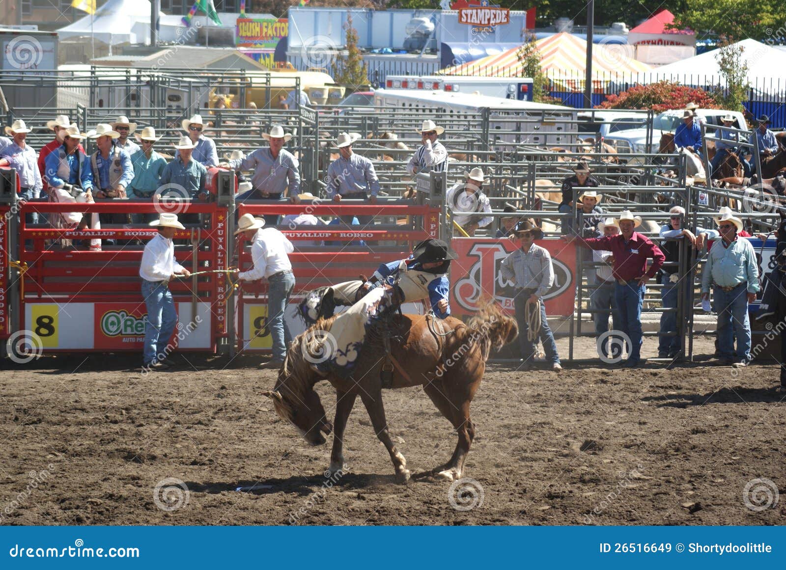 Cowboy Riding A Bucking Bronc Horse At A Country Rodeo Editorial Image ...